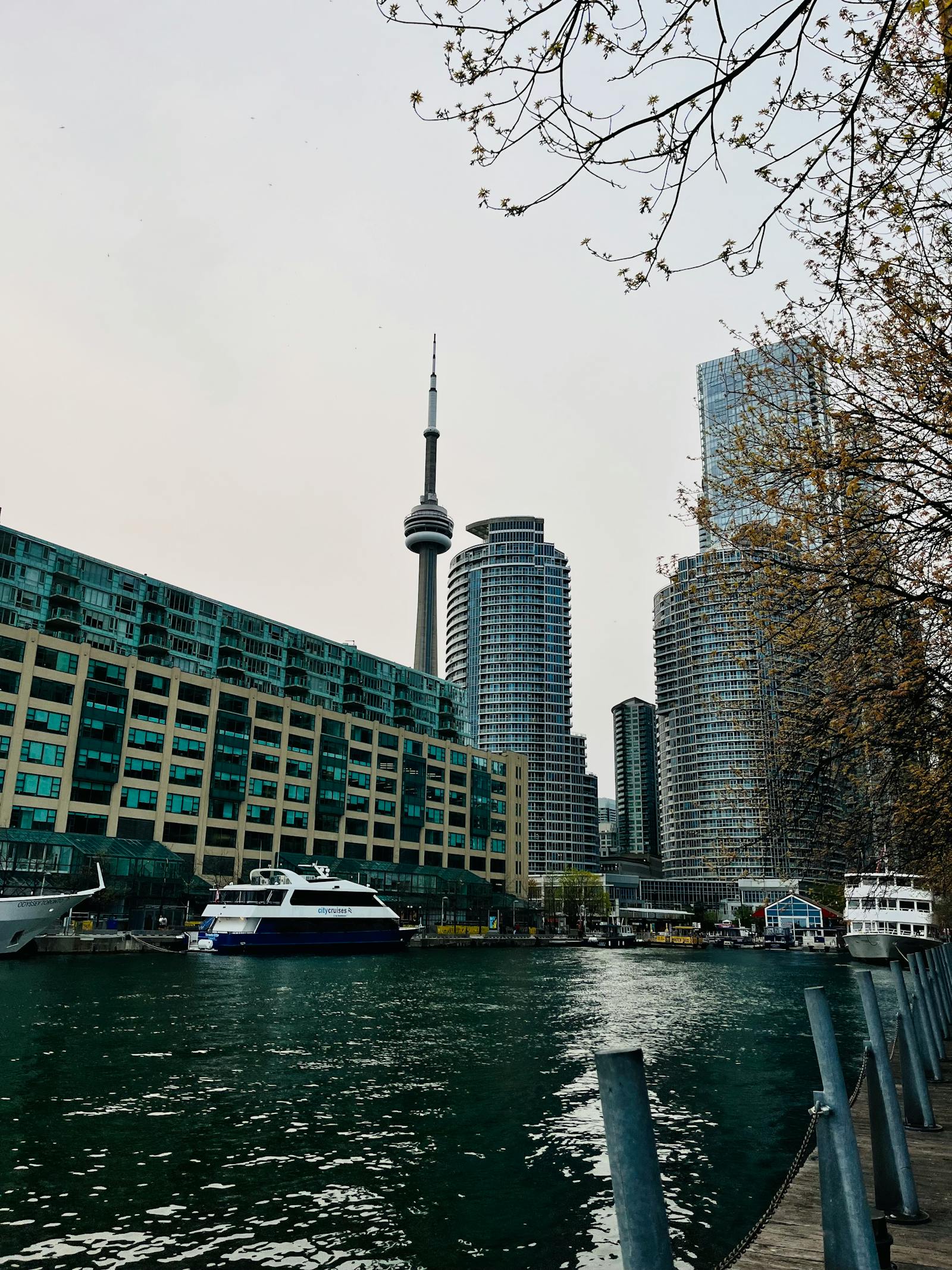 4k Toronto Photos, Download The BEST Free 4k Toronto Stock Photos & HD ...