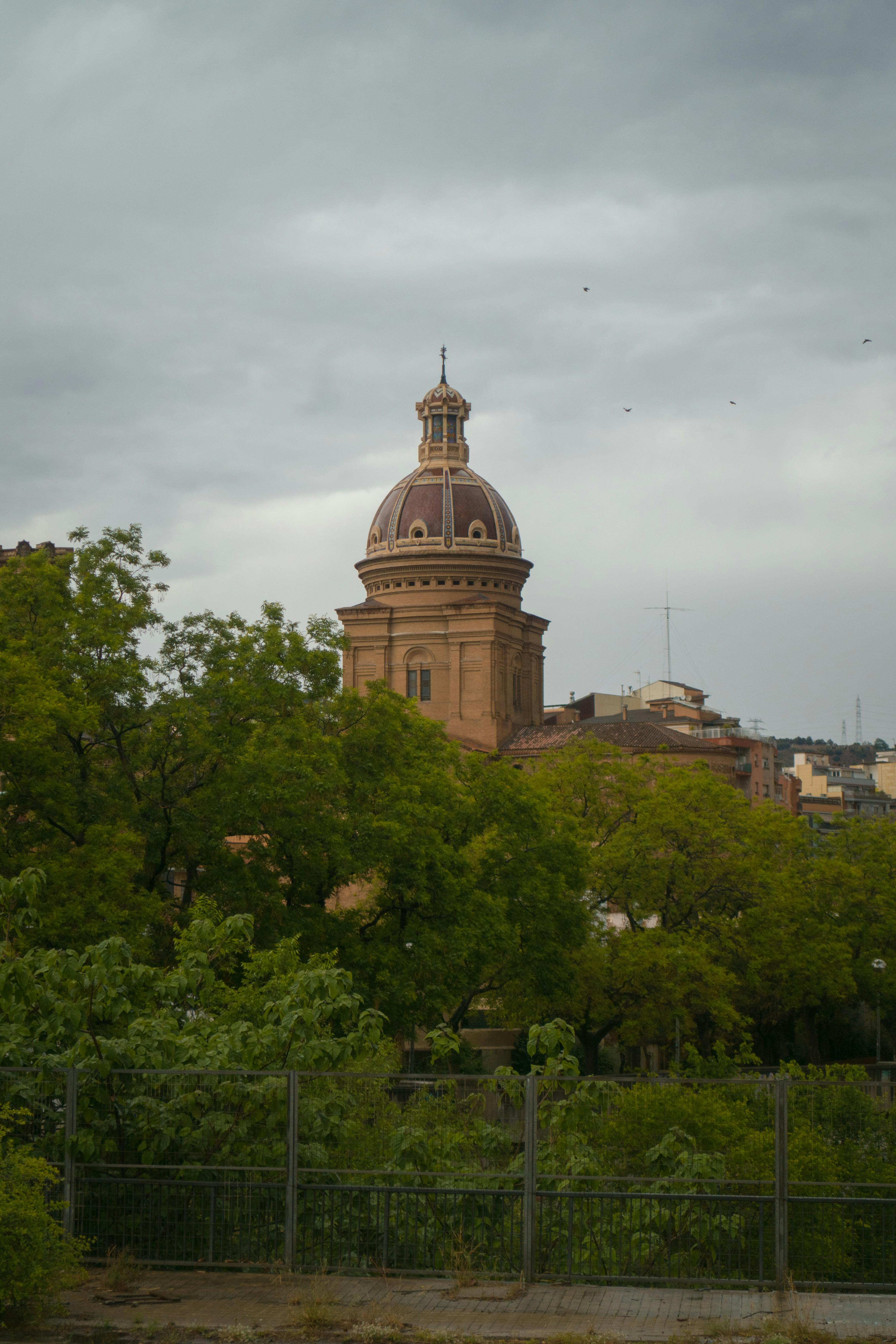 Church Tower behind Trees · Free Stock Photo