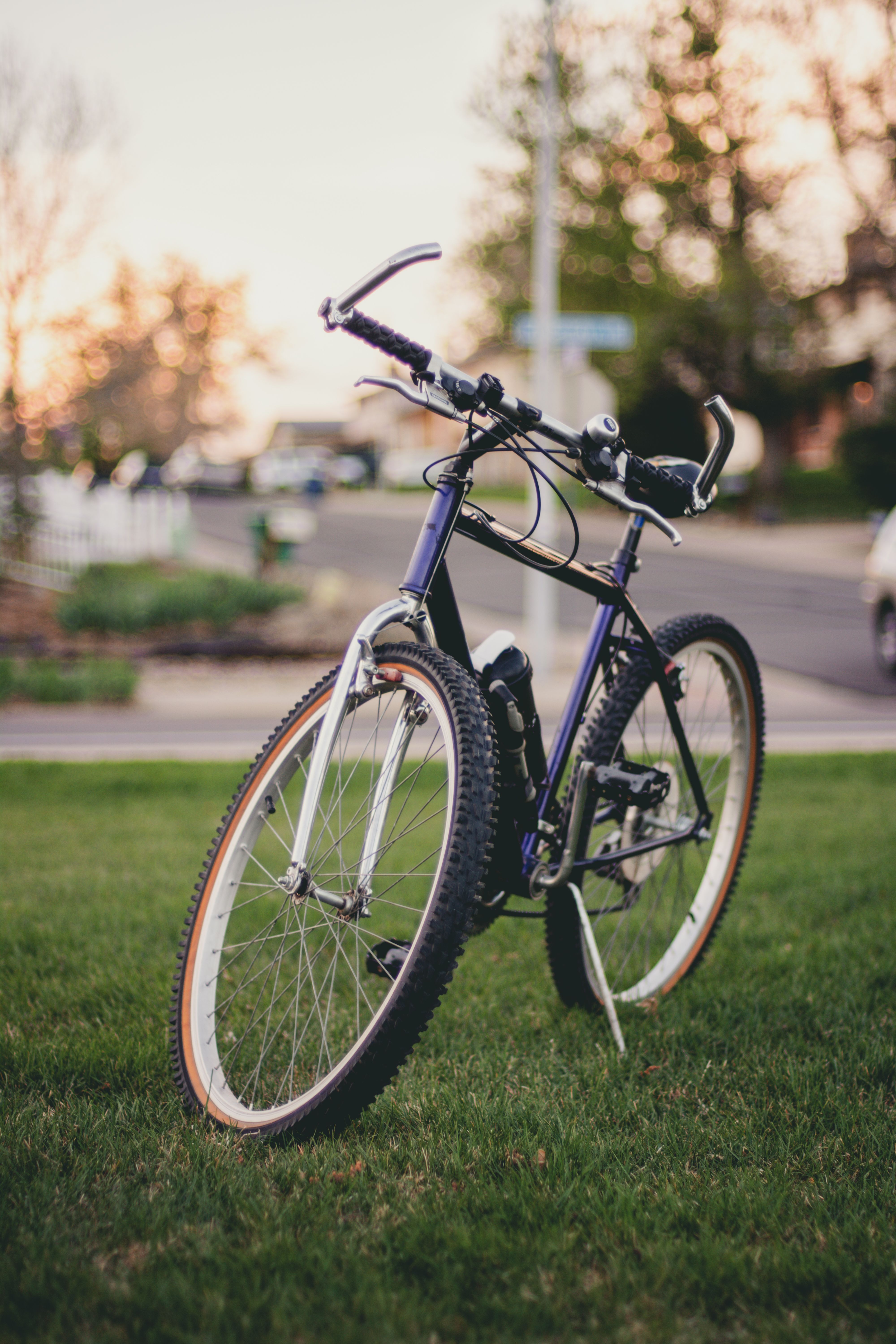 Mtb Life Photos, Download The BEST Free Mtb Life Stock Photos & HD Images