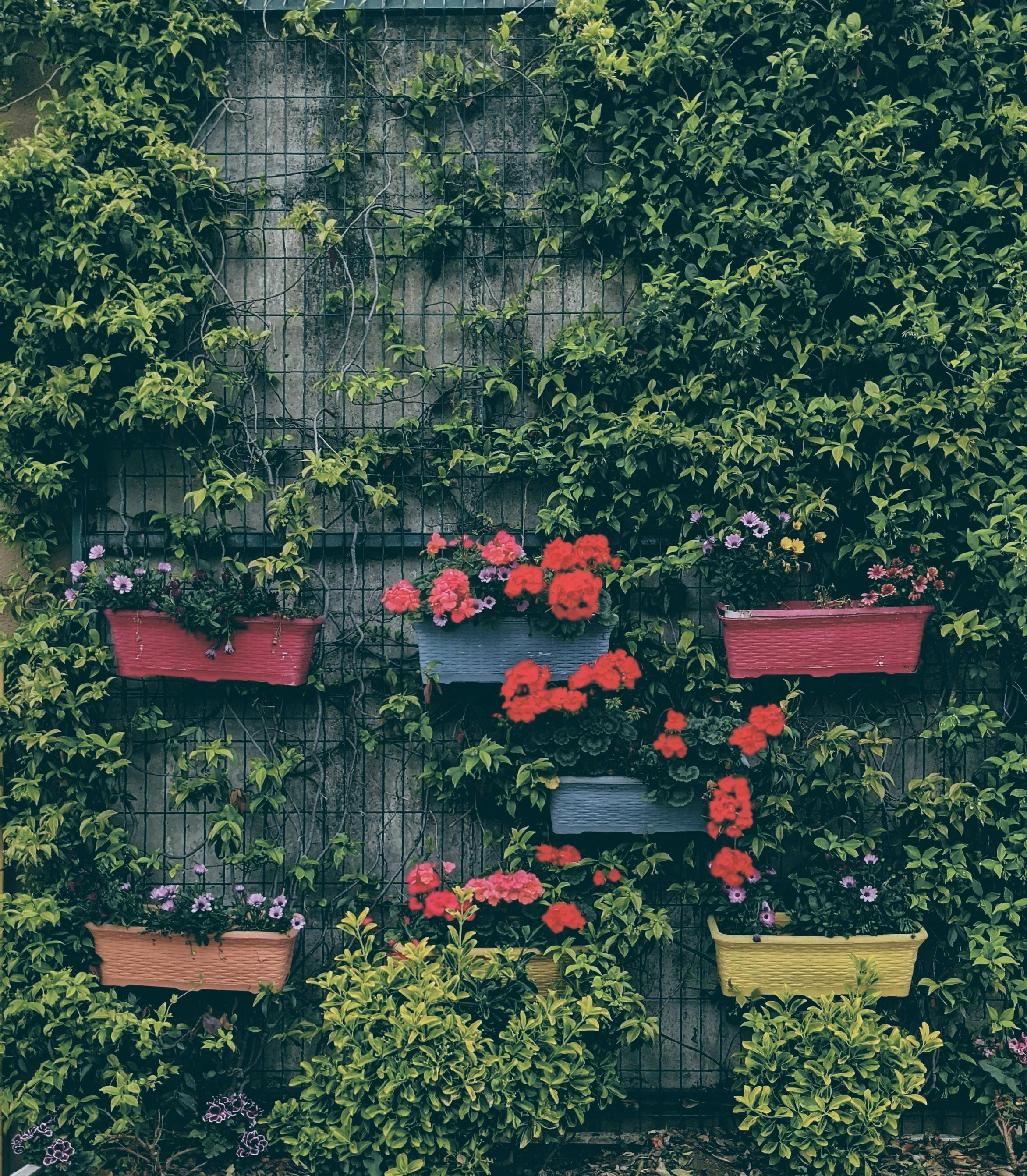 Awakening Photos, Download The BEST Free Awakening Stock Photos & HD Images