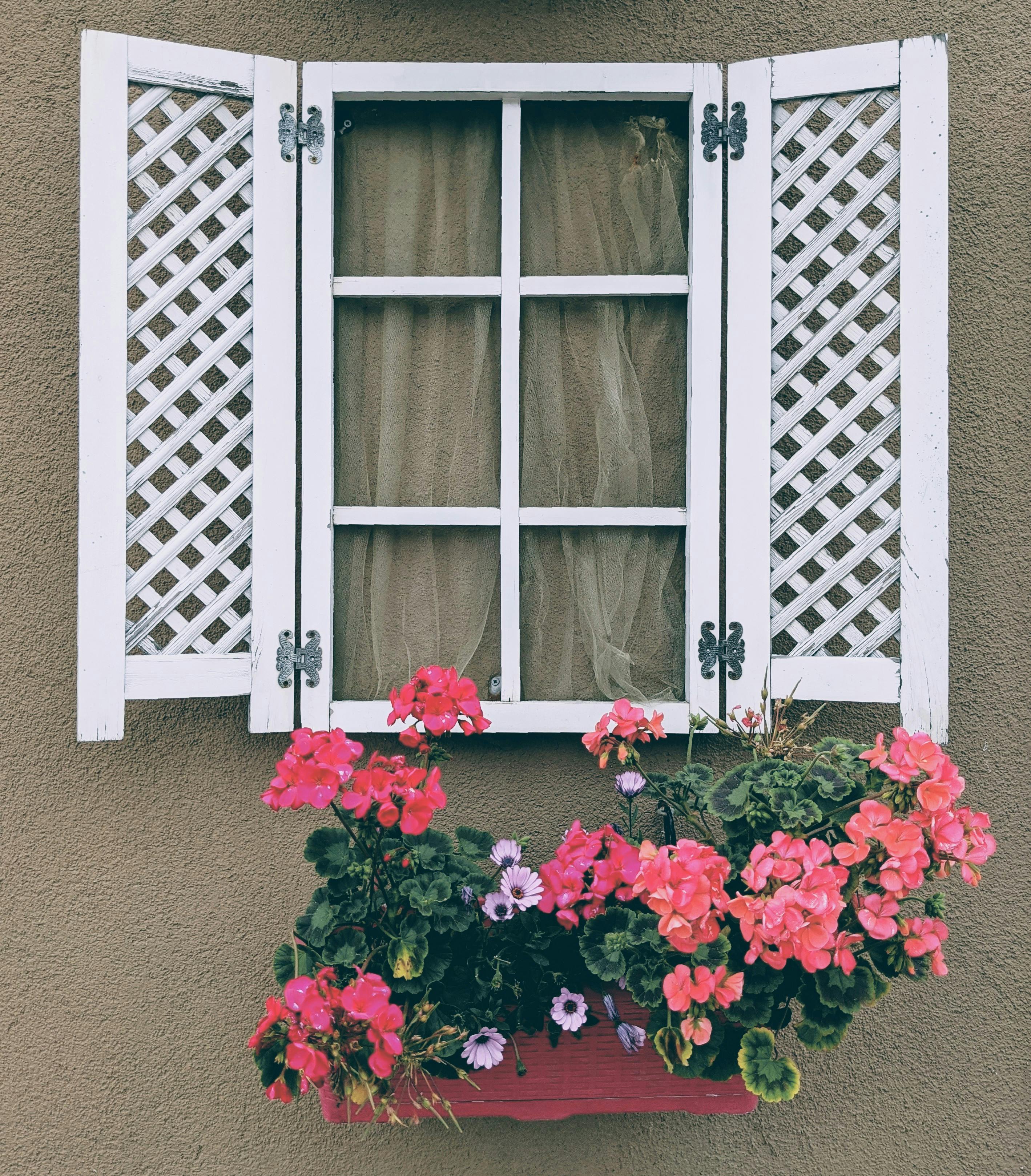 Awakening Photos, Download The BEST Free Awakening Stock Photos & HD Images