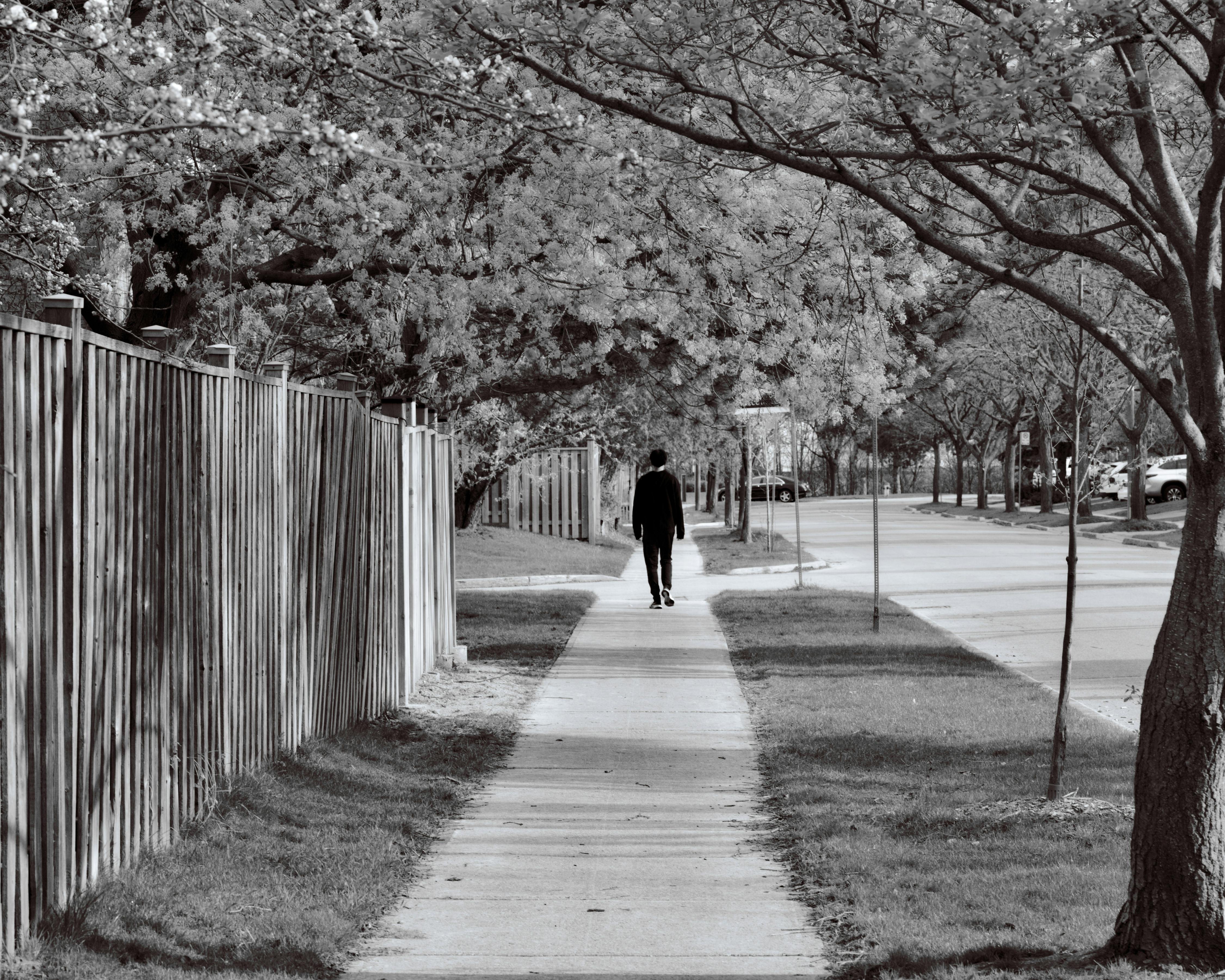 Ominous Man Walking Away · Free Stock Photo