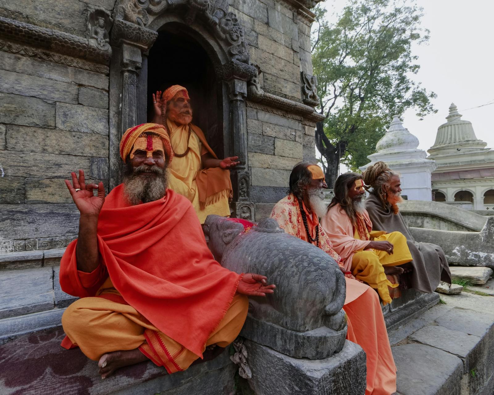 Monks Thailand Photos, Download The BEST Free Monks Thailand Stock ...
