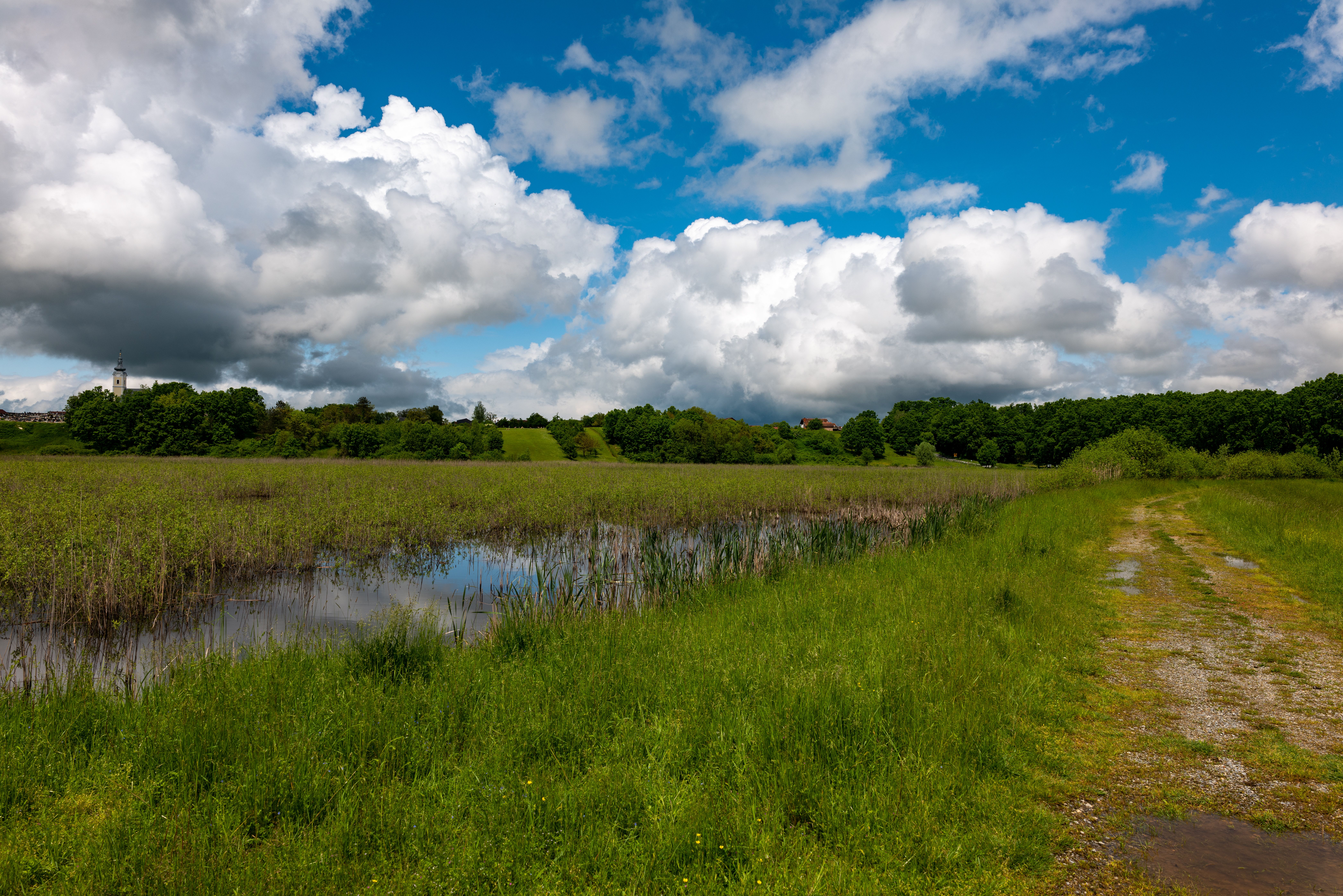 A Pond in a Countryside · Free Stock Photo