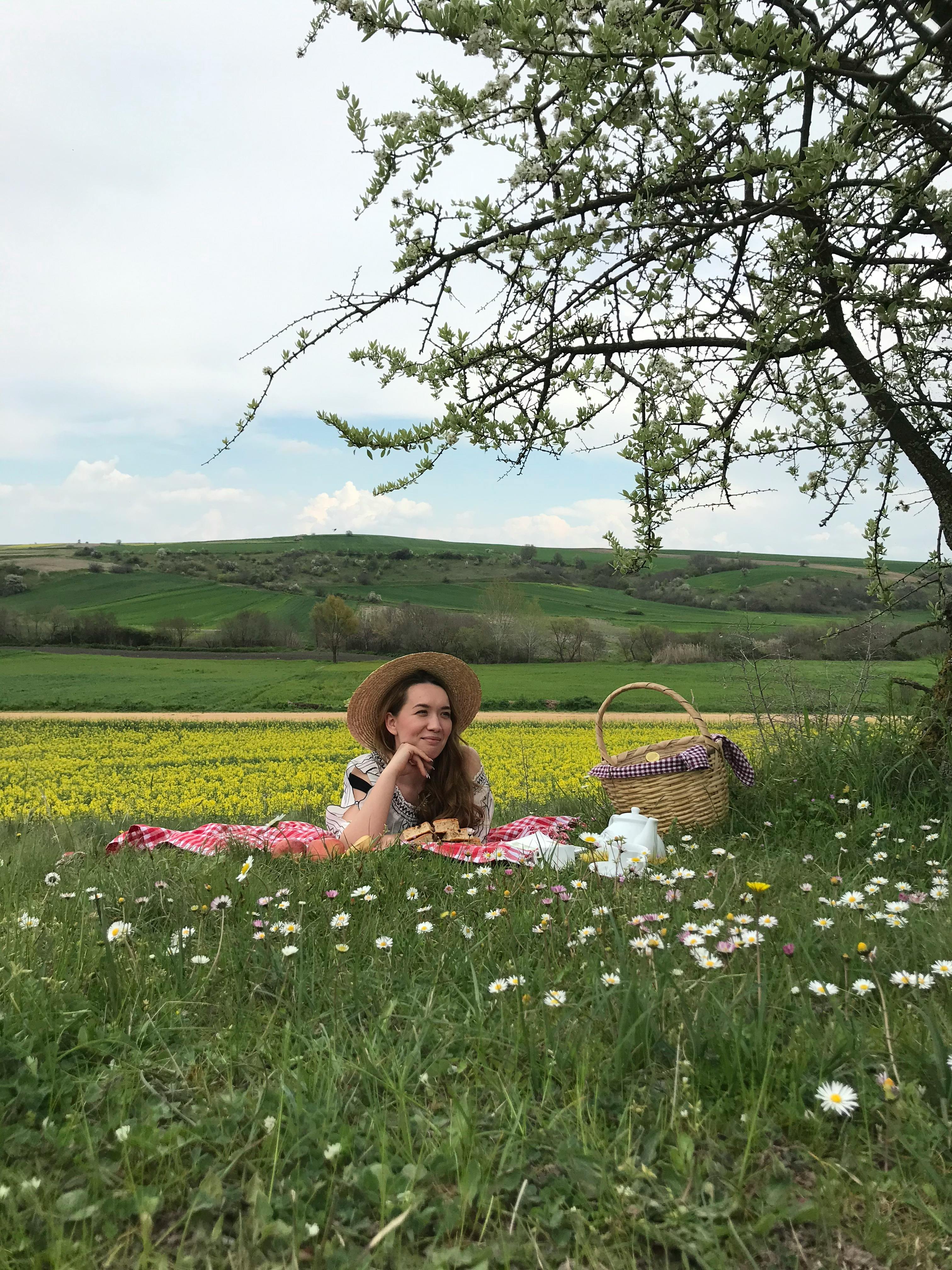 Spring Picnic Photos, Download The BEST Free Spring Picnic Stock Photos ...