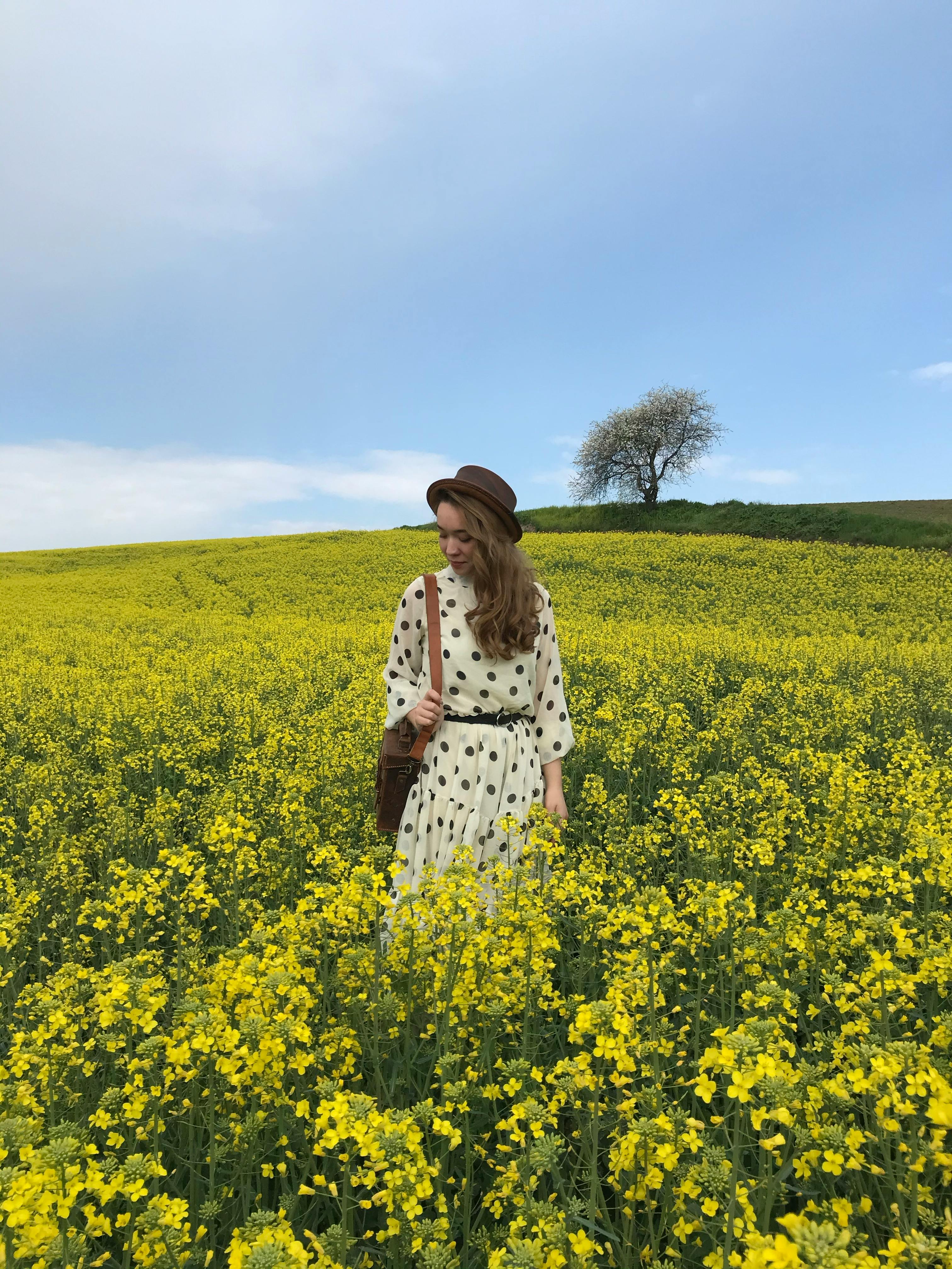 Women In Spring Dress In Field Photos, Download The BEST Free Women In ...