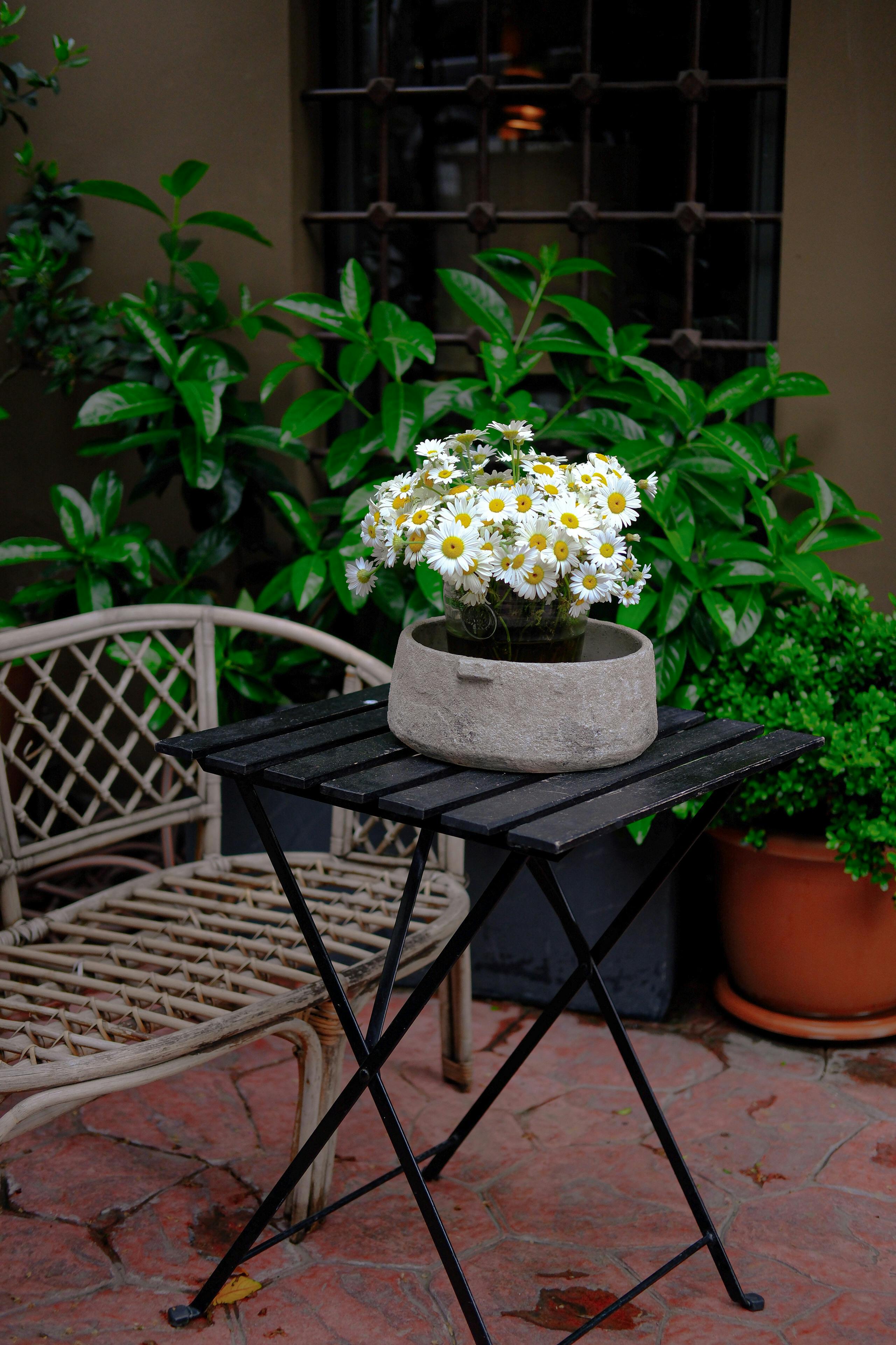 Chair Bee Photos, Download The BEST Free Chair Bee Stock Photos & HD Images