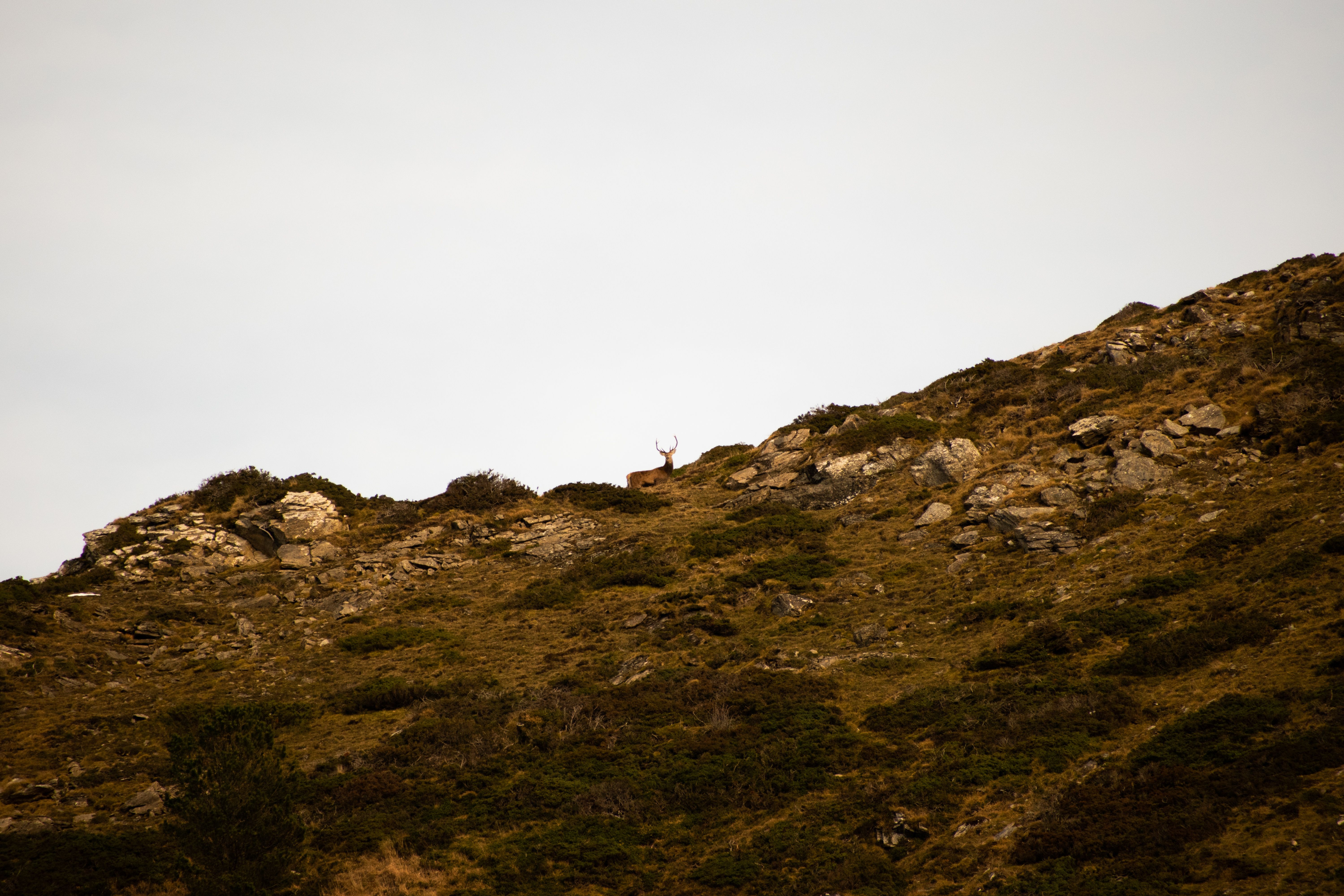 Raw Images Of Mountain Photos, Download The BEST Free Raw Images Of ...