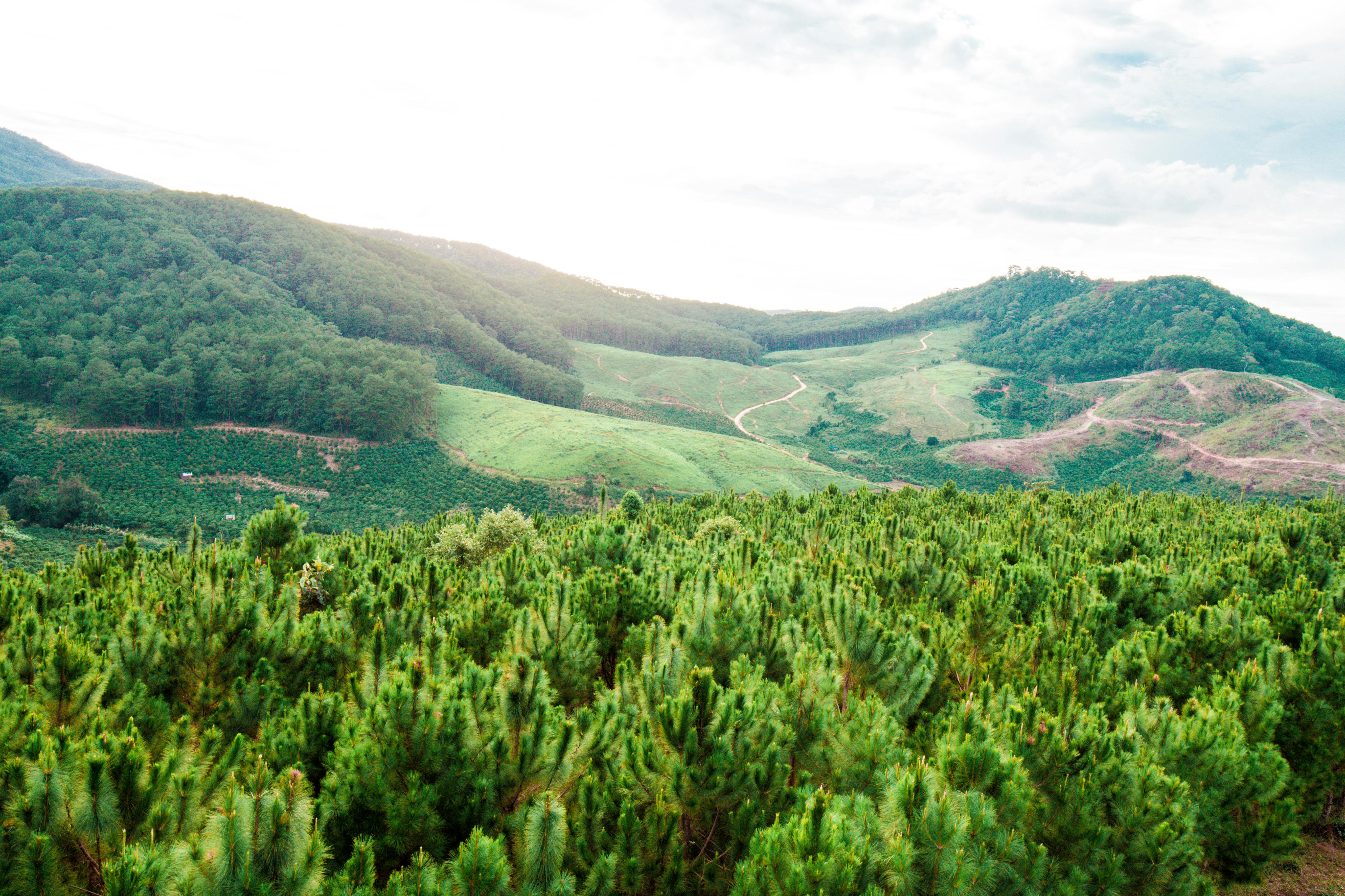 Landscape Photo of a Hill · Free Stock Photo