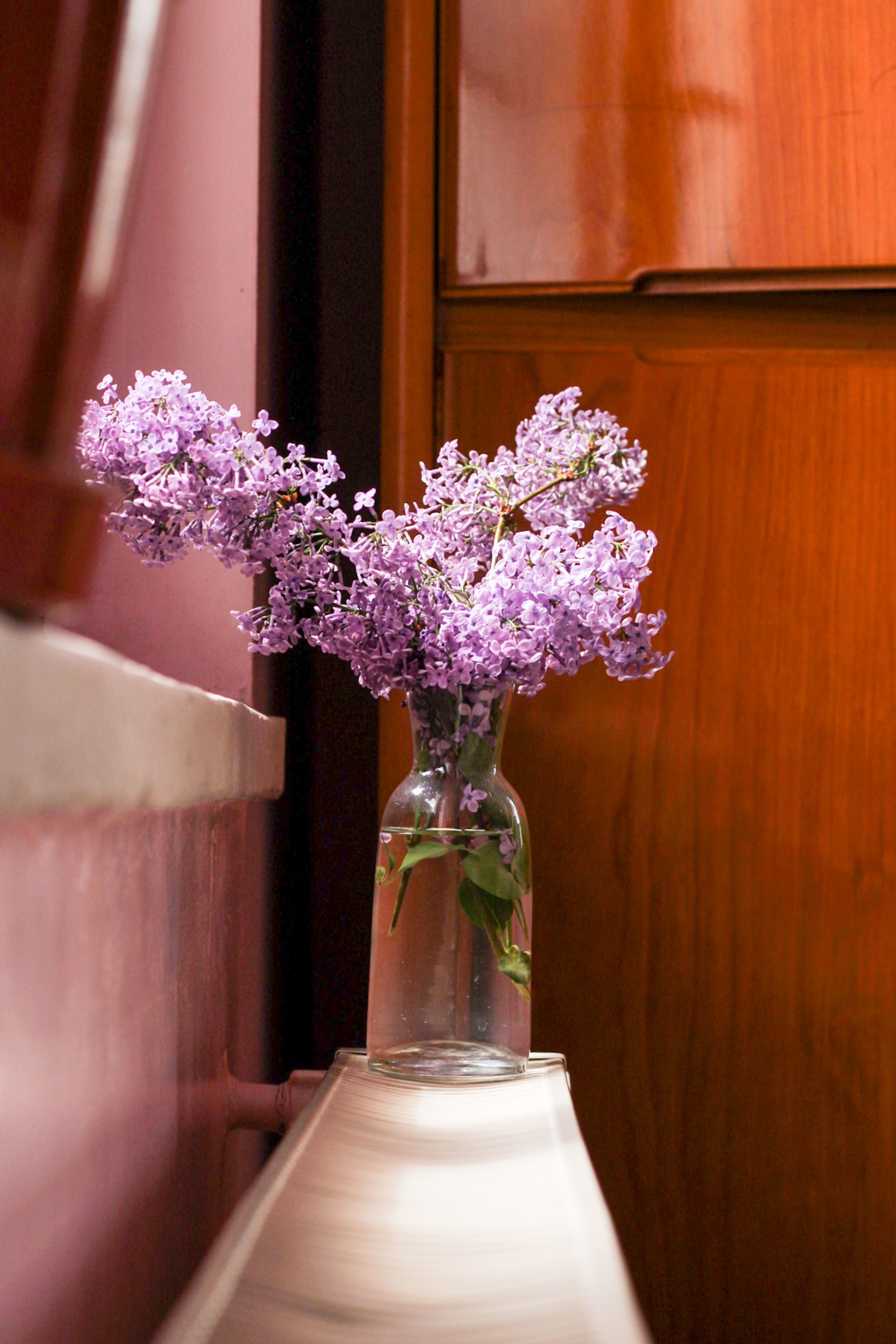 Flowers in a Vase · Free Stock Photo