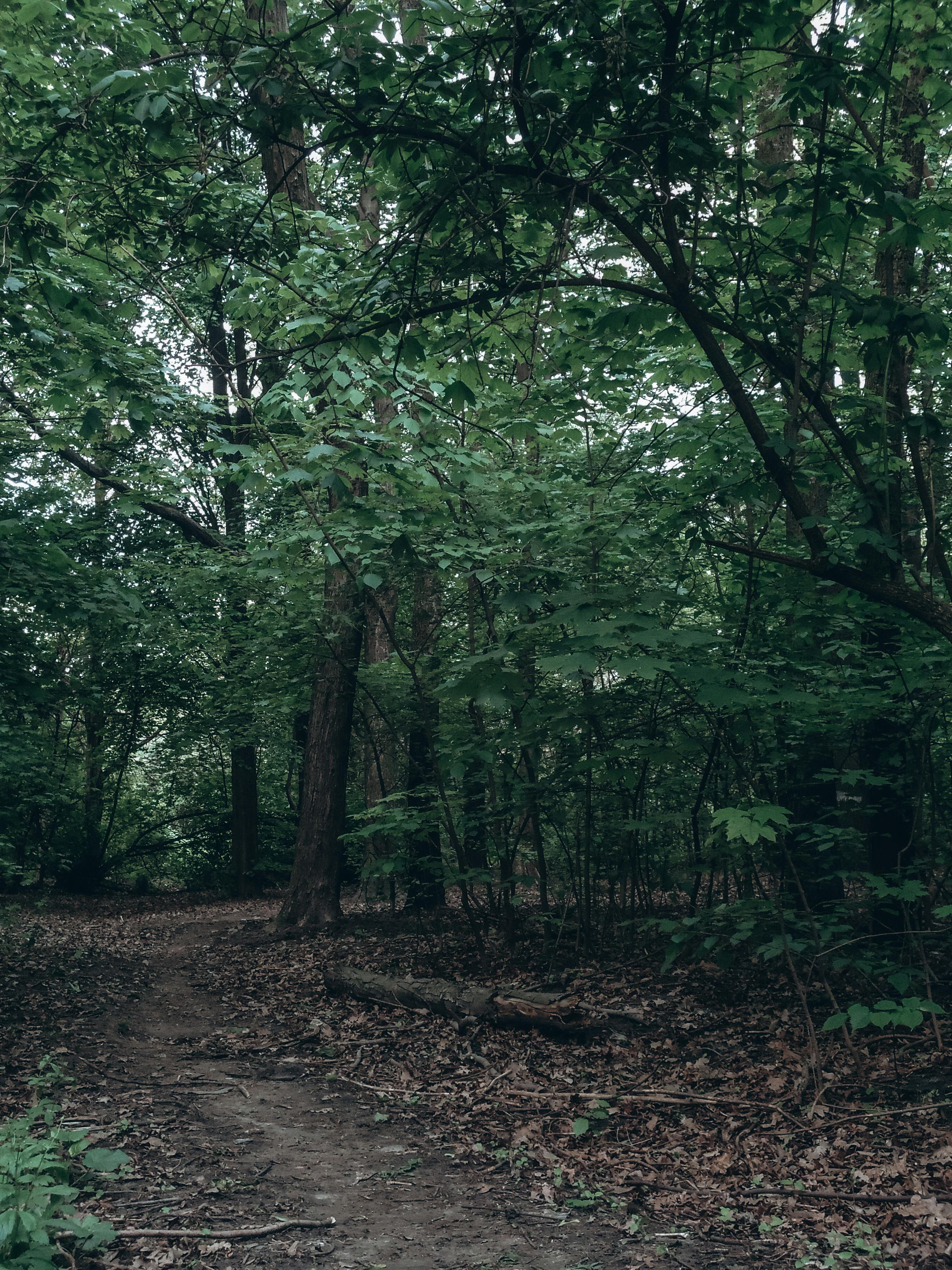 Religious Path Photos, Download The BEST Free Religious Path Stock ...