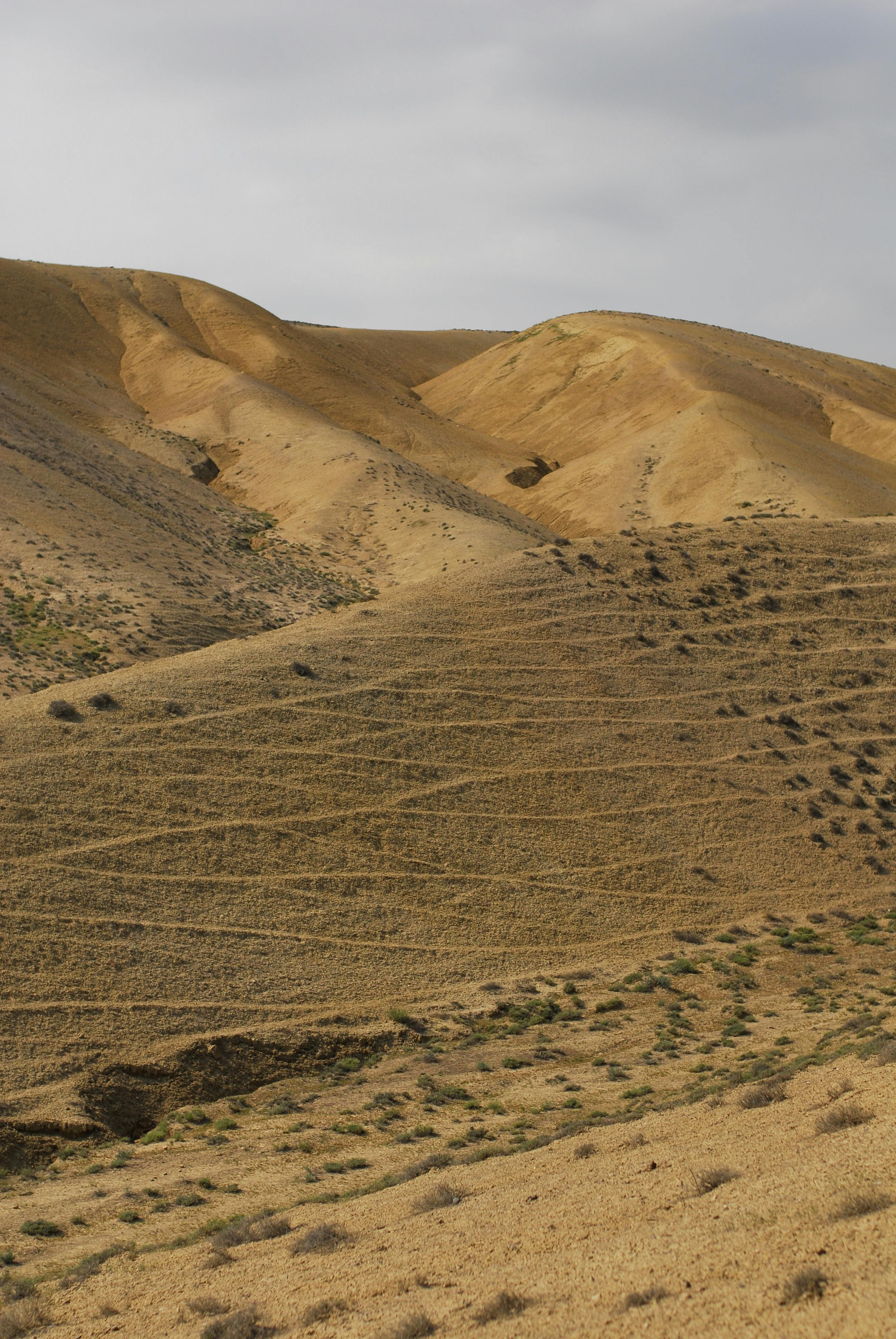 Barren Landscape with Brown Soil · Free Stock Photo