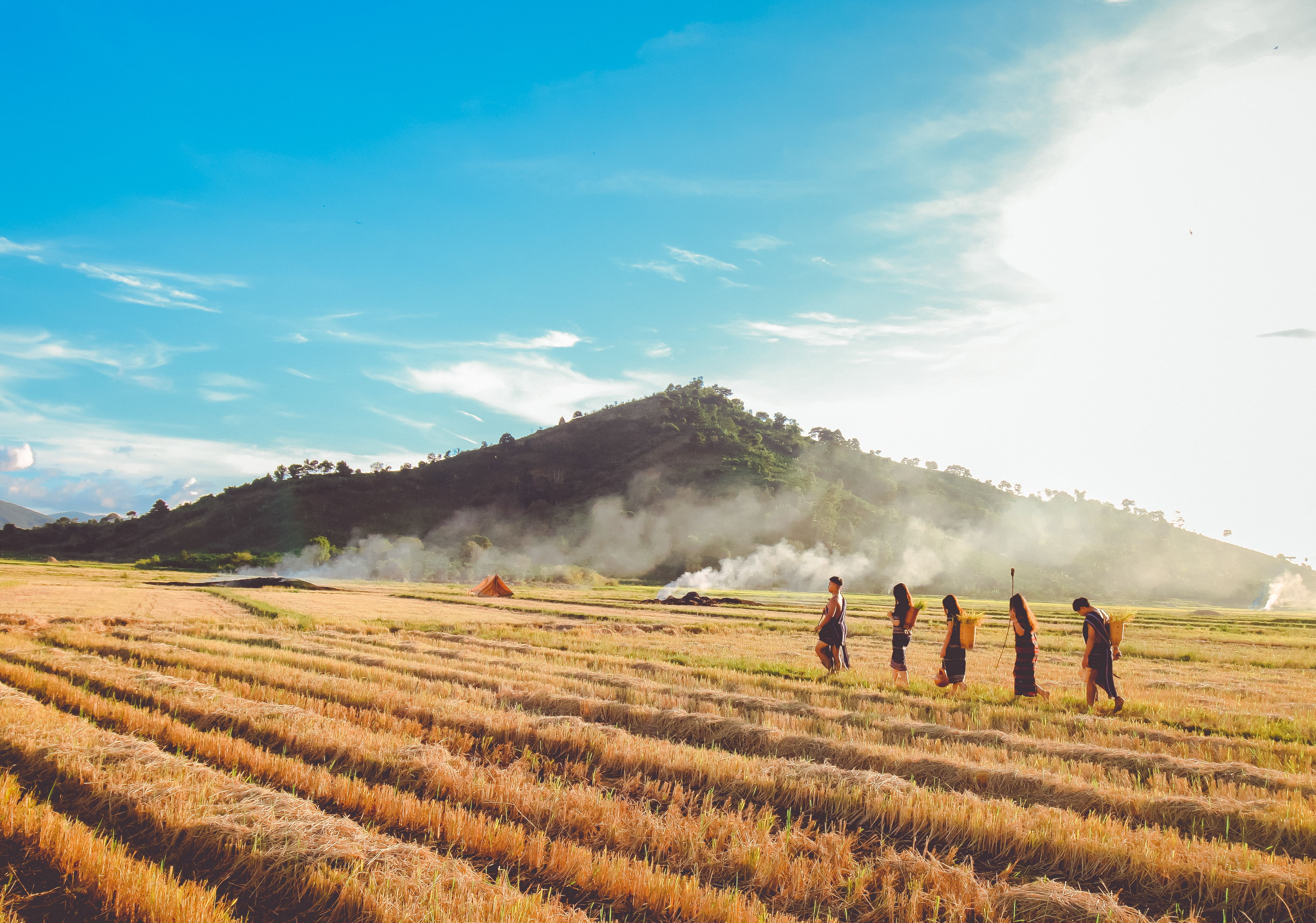 Green Grass Field during Day Time · Free Stock Photo