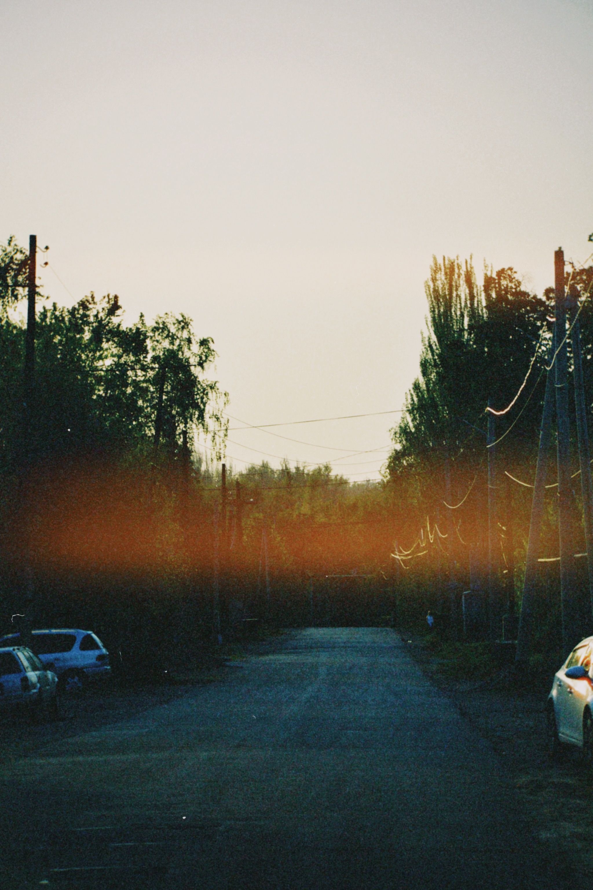 Spooky Trail Photos, Download The BEST Free Spooky Trail Stock Photos ...