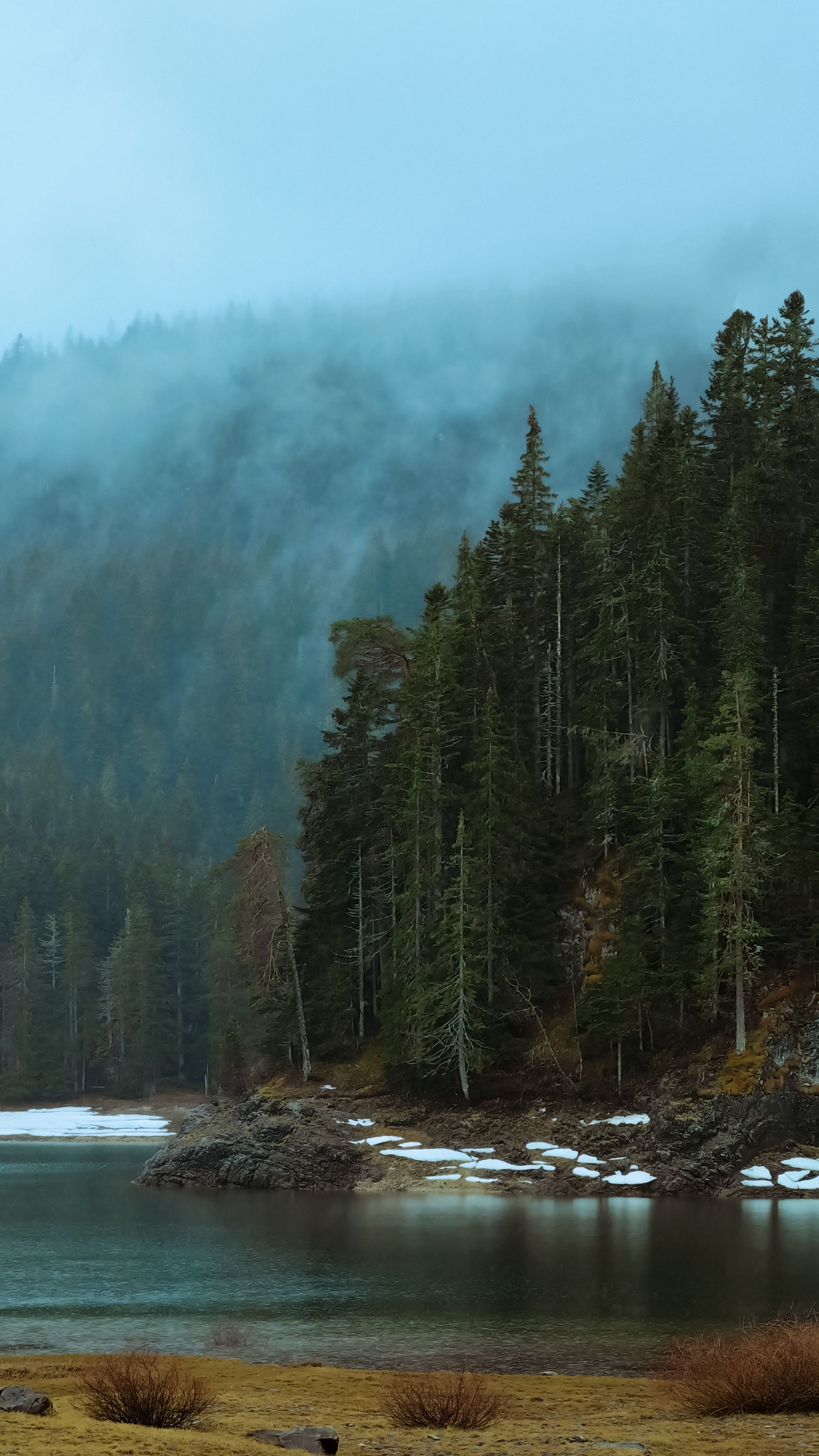 Fog over Forest around Lake · Free Stock Photo