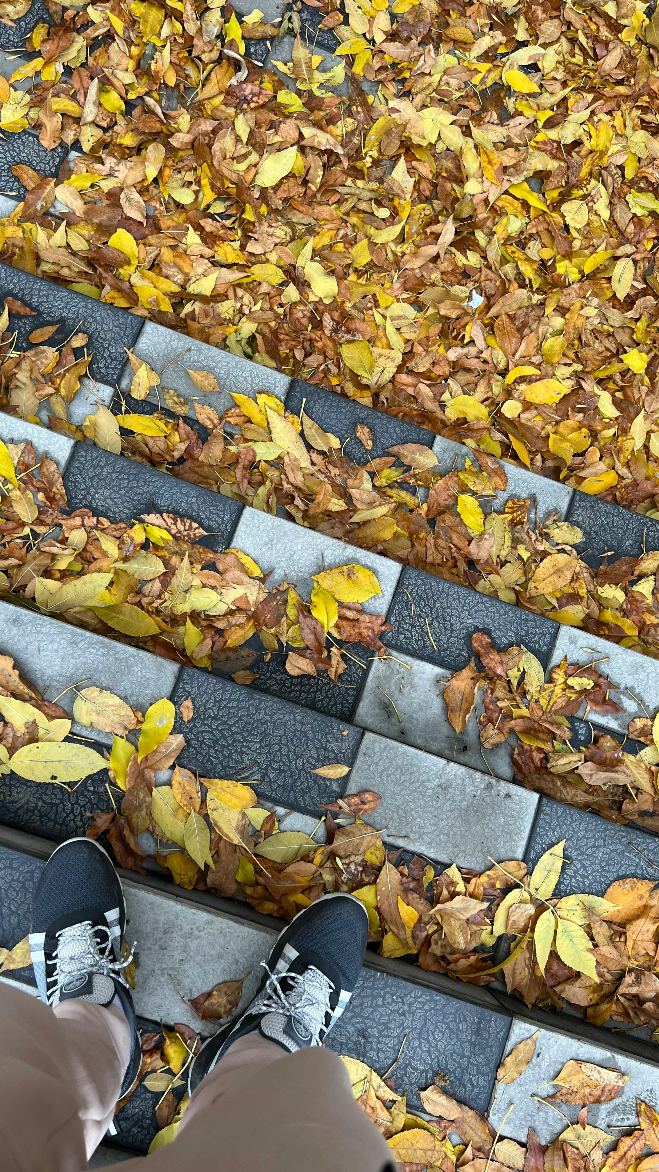 Fall Man Photos, Download The BEST Free Fall Man Stock Photos & HD Images