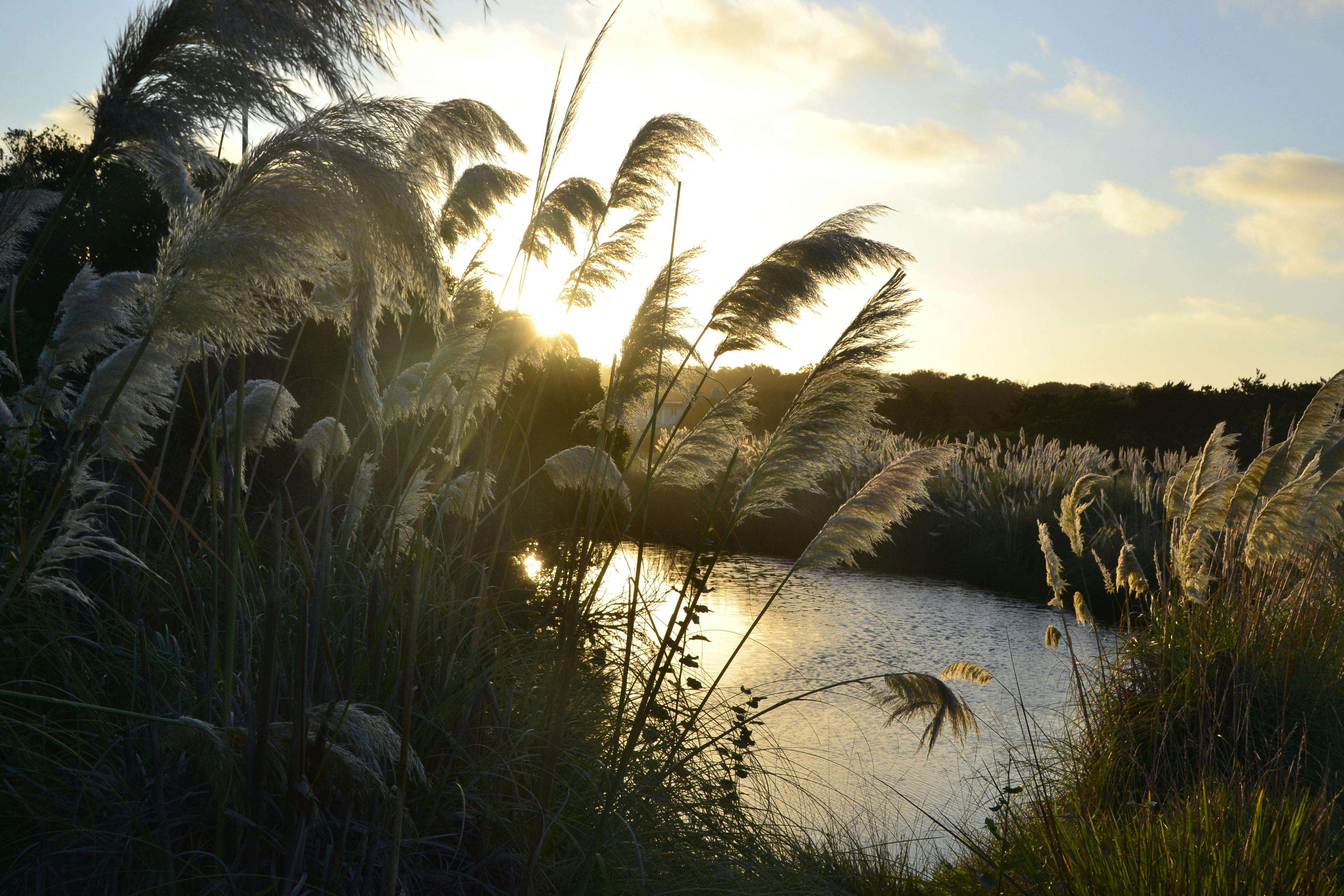 Andi Jo - การถ่ายภาพ