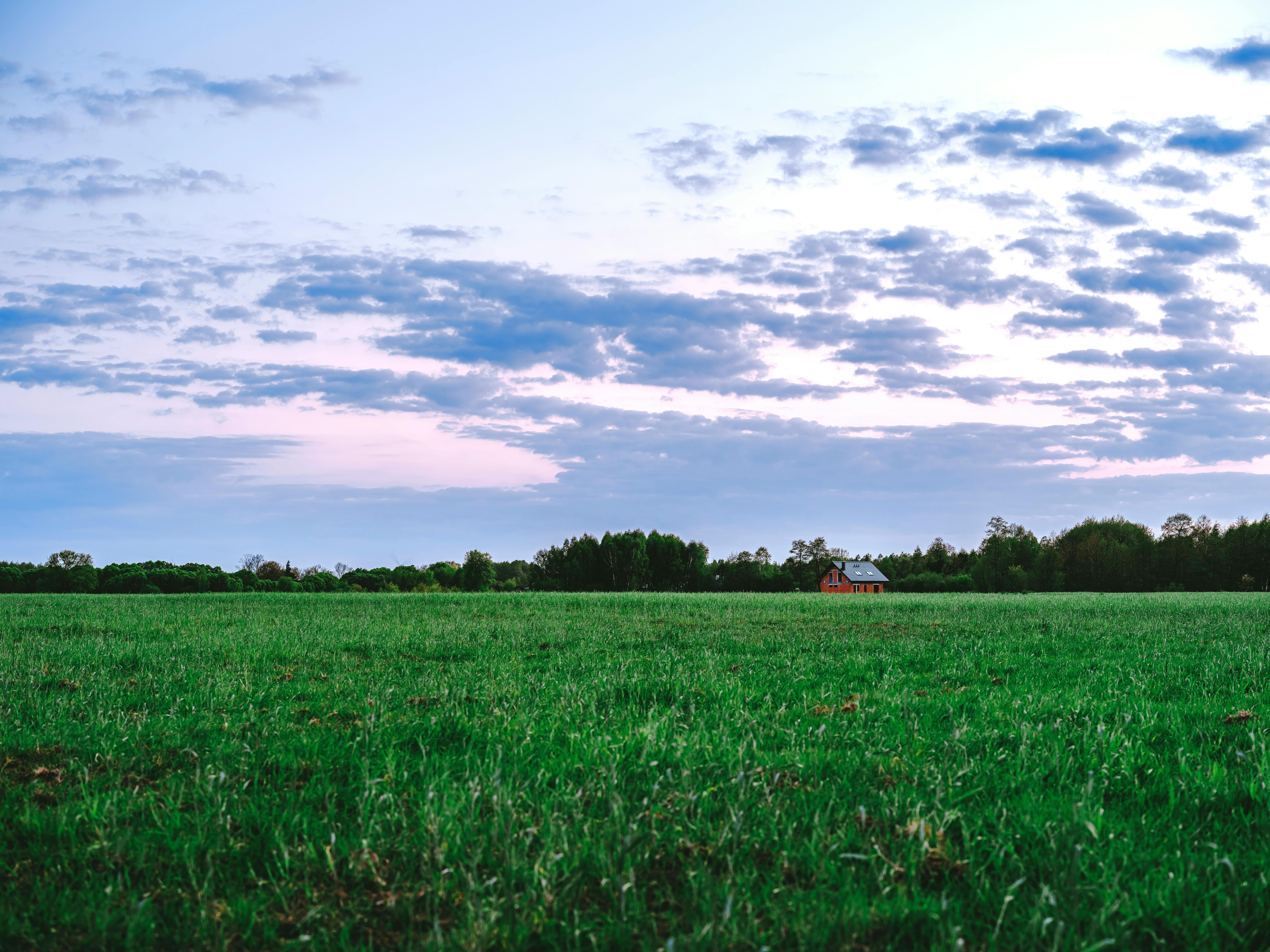 A Grass Field and a House in Distance · Free Stock Photo