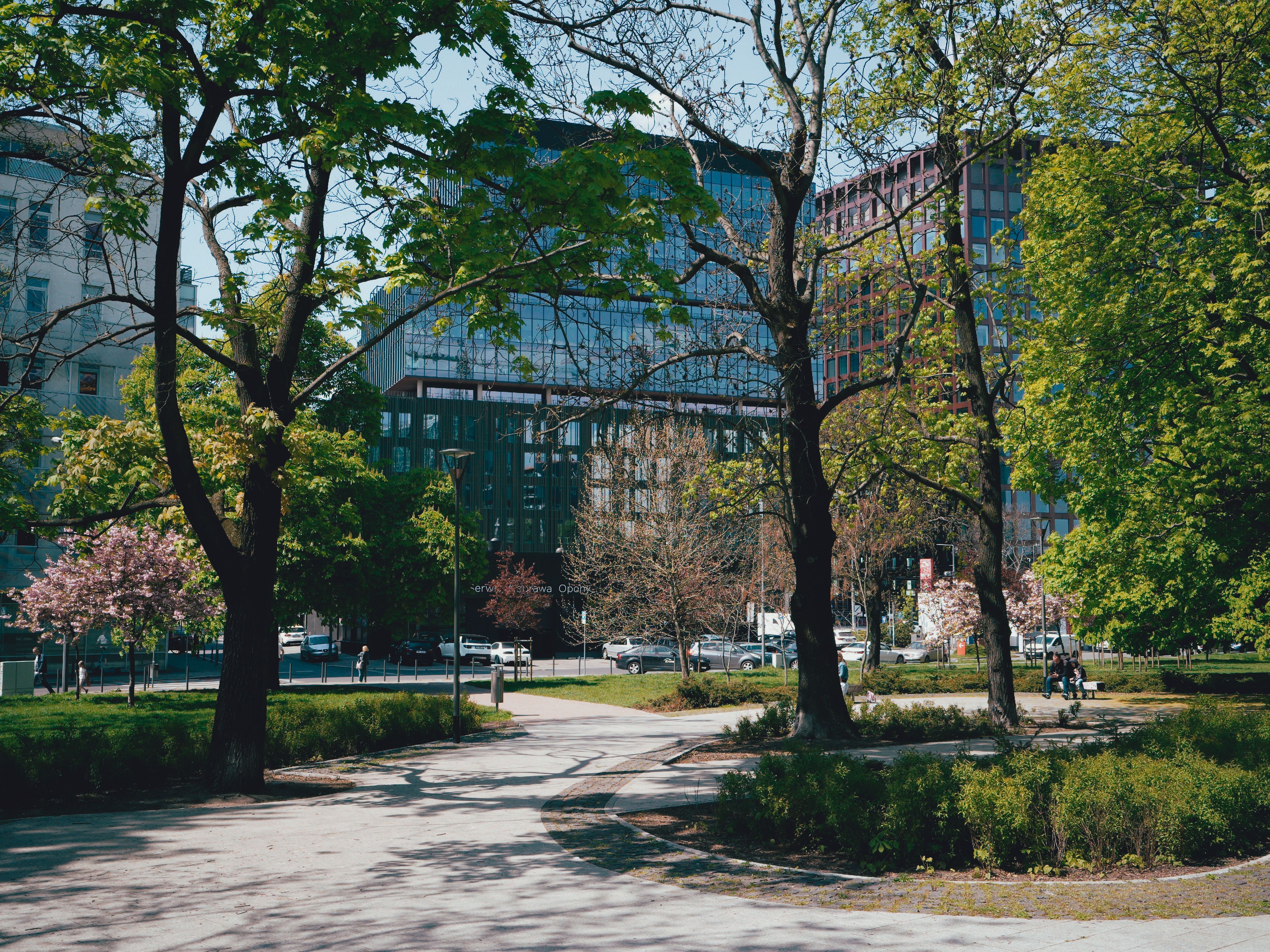 Trees in Empty Park and Buildings behind · Free Stock Photo