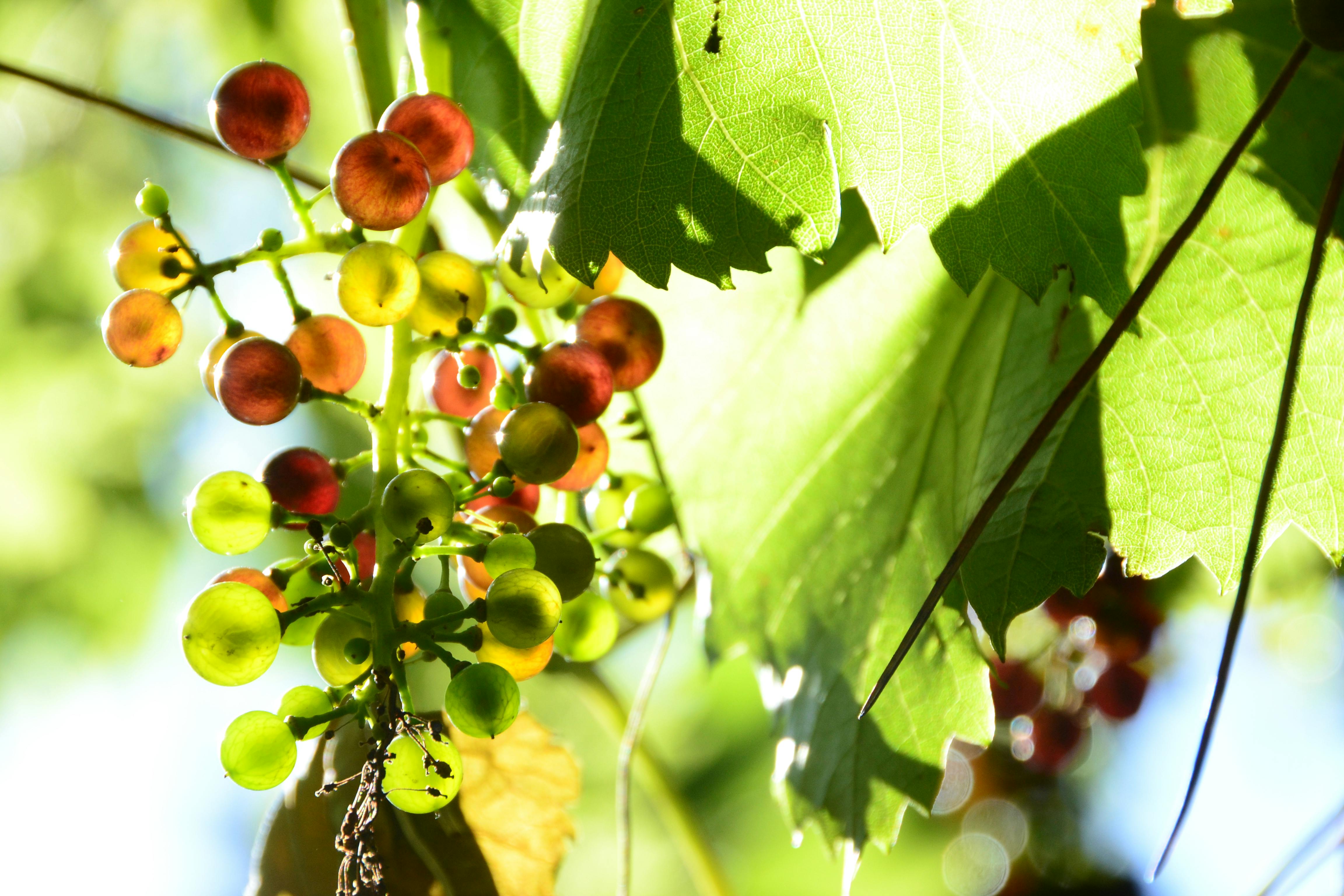 Andi Jo - การถ่ายภาพ