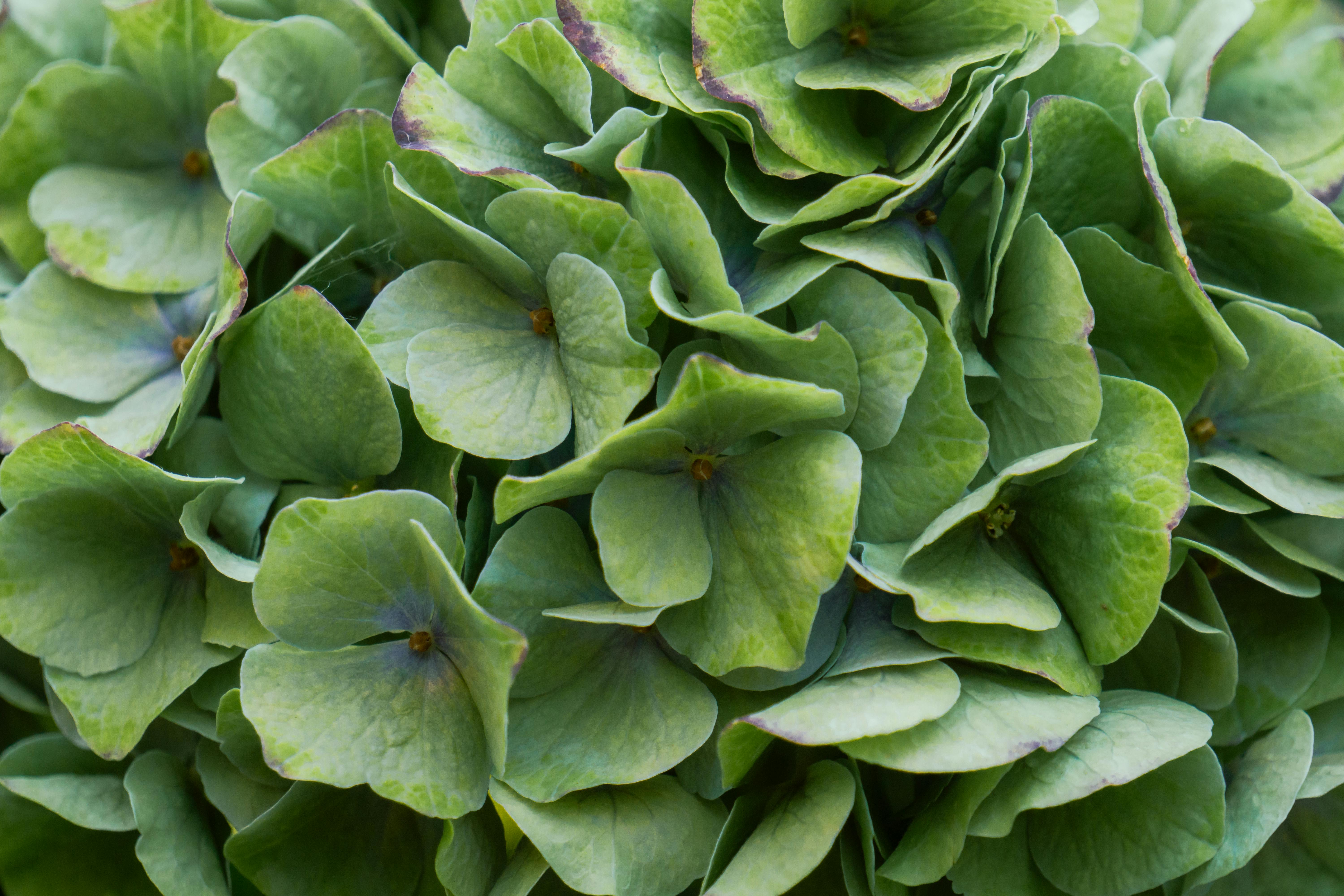 Aravind Reddy Tarugu - Photography