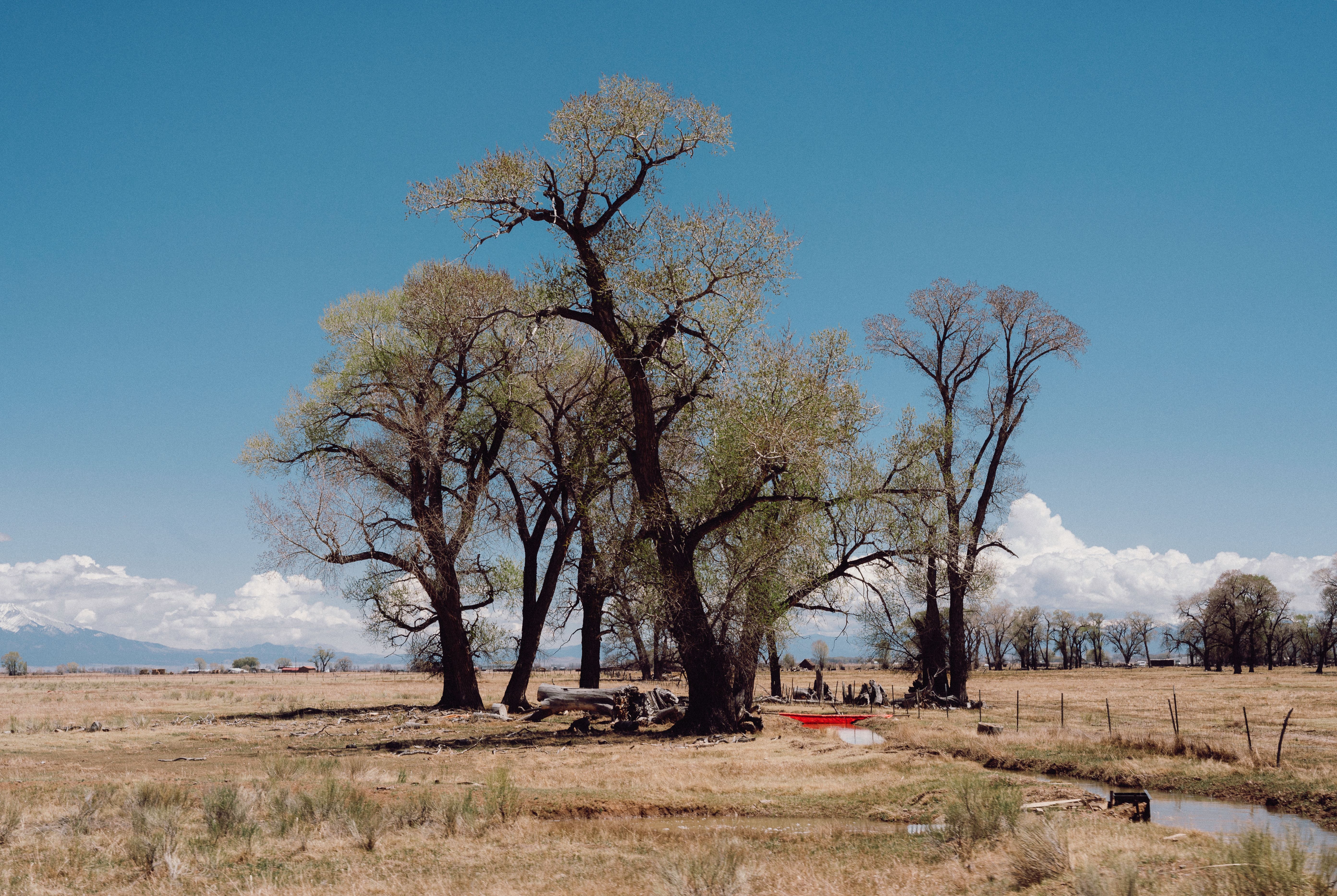 Stream Grassland Trees Terrestrial Biomes | Learn Science At Scitable