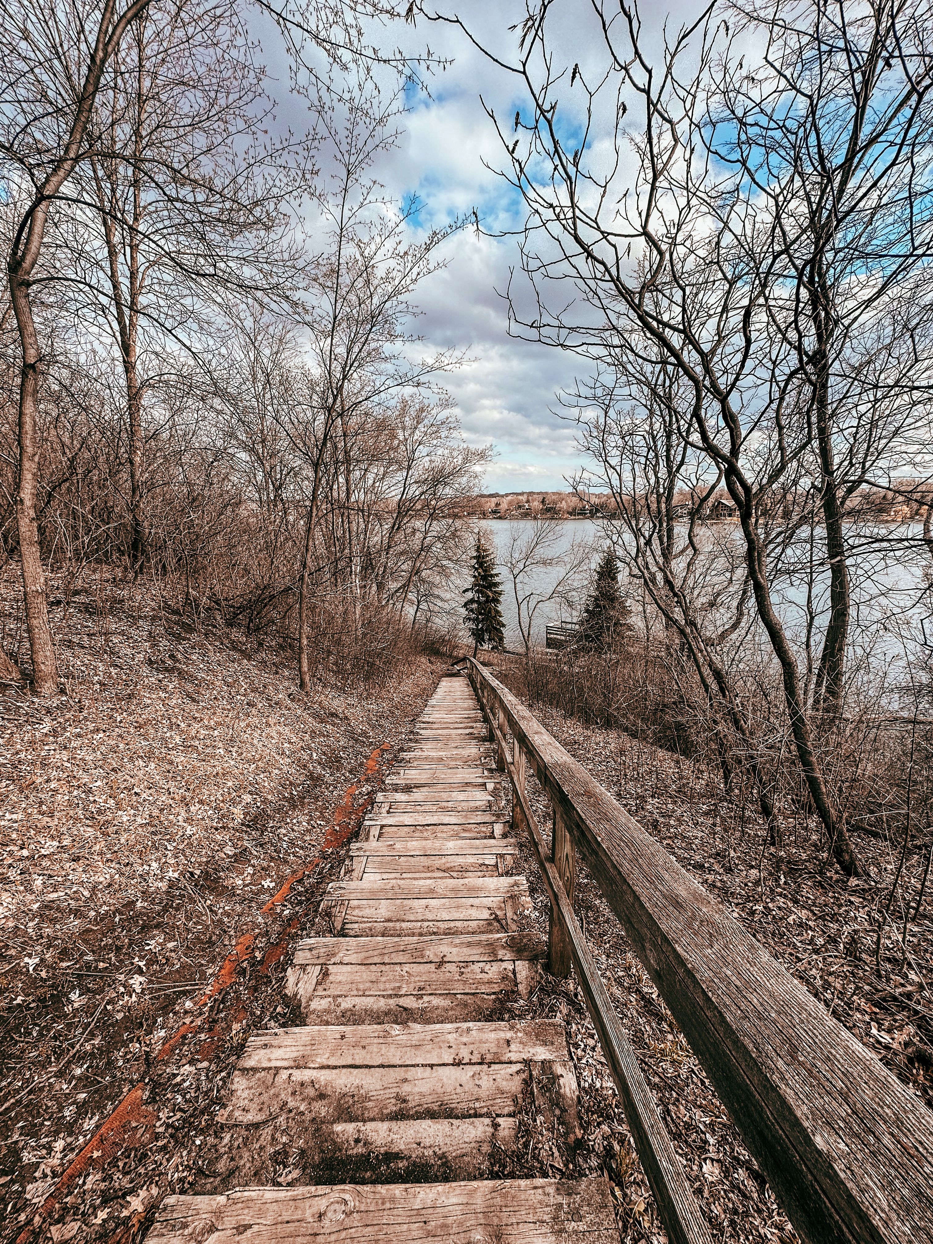 Wooden Steps Leading Down to a Body of Water · Free Stock Photo