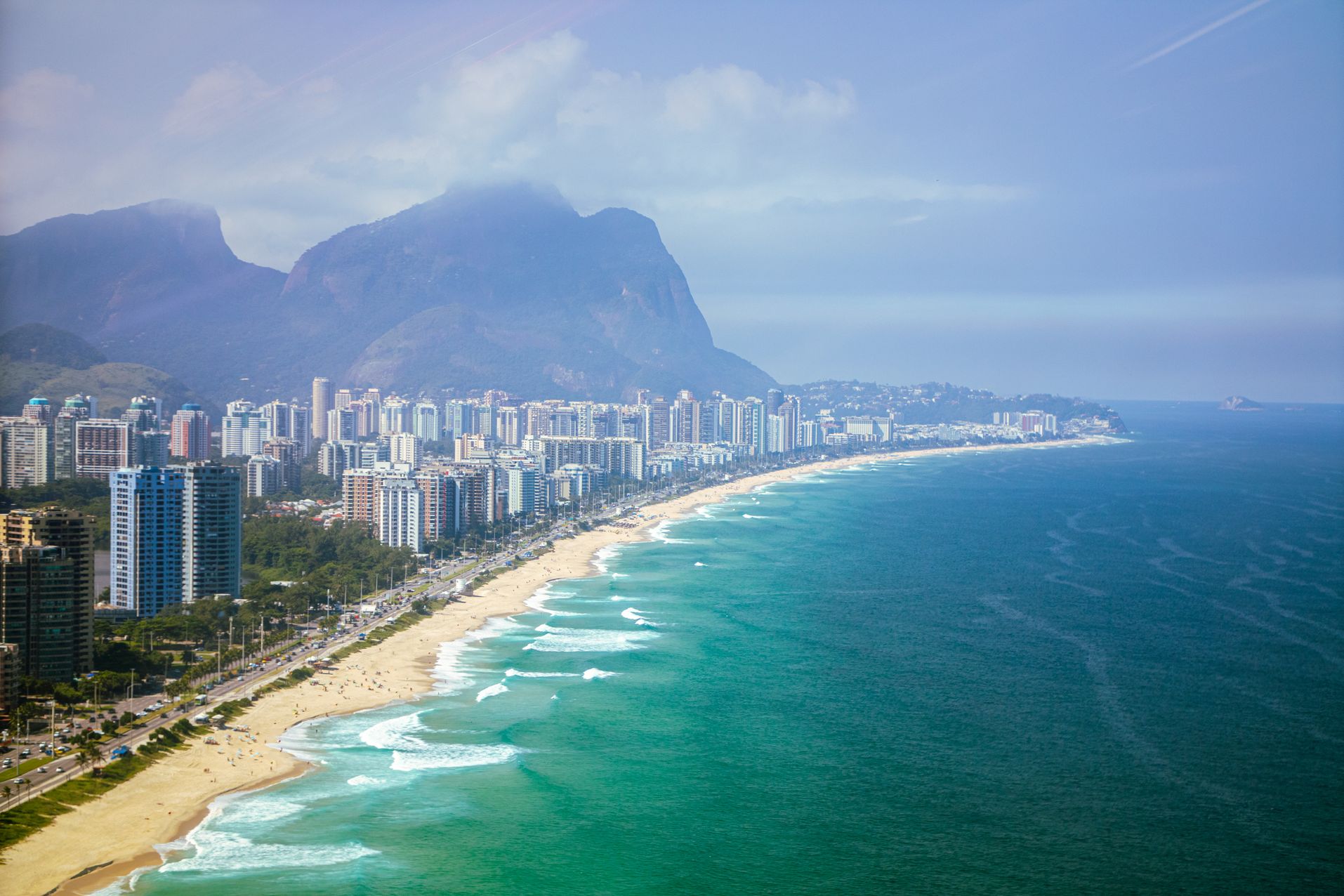 Discover Animals in Rio de Janeiro Brazil's Wildlife Gems