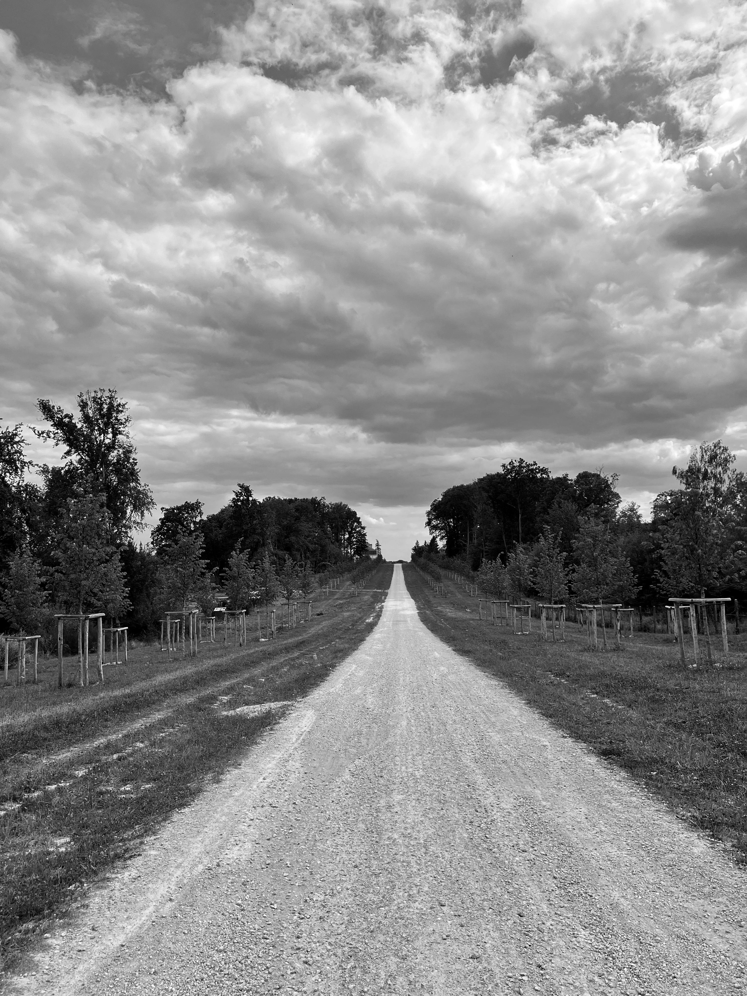 Prabhat Subedi - Fotografía