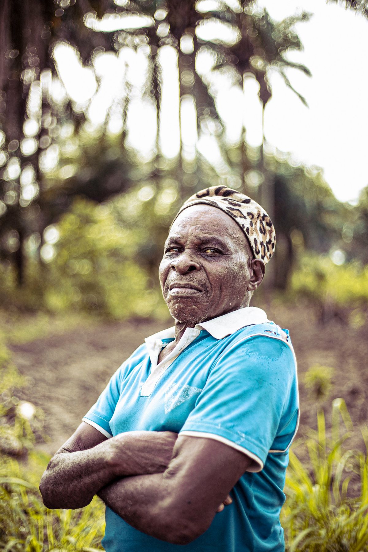 West African Liberia Forest Photos, Download The BEST Free West African ...