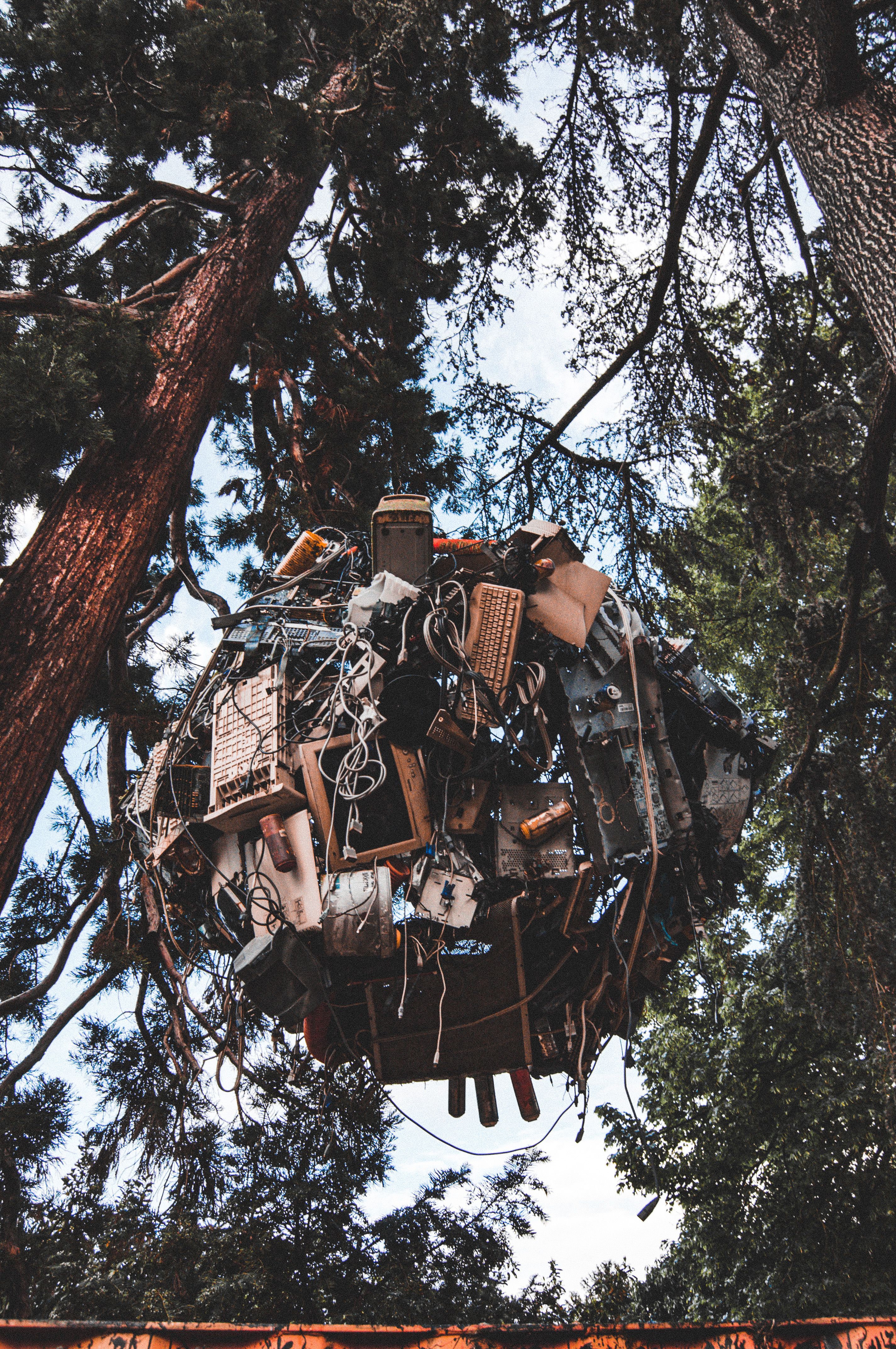Thrash in a Forest · Free Stock Photo