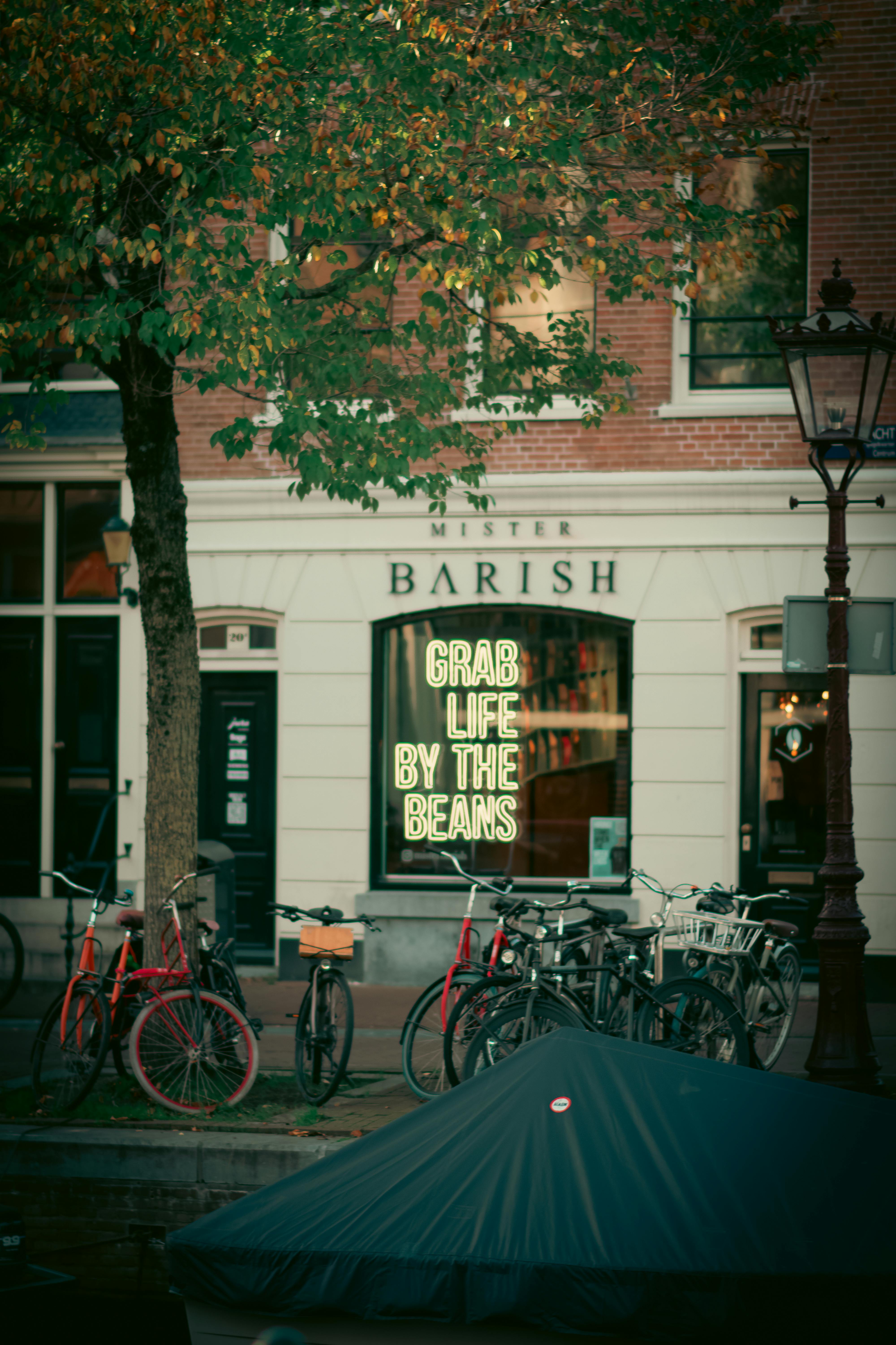Neon Sign in the Shop Window · Free Stock Photo