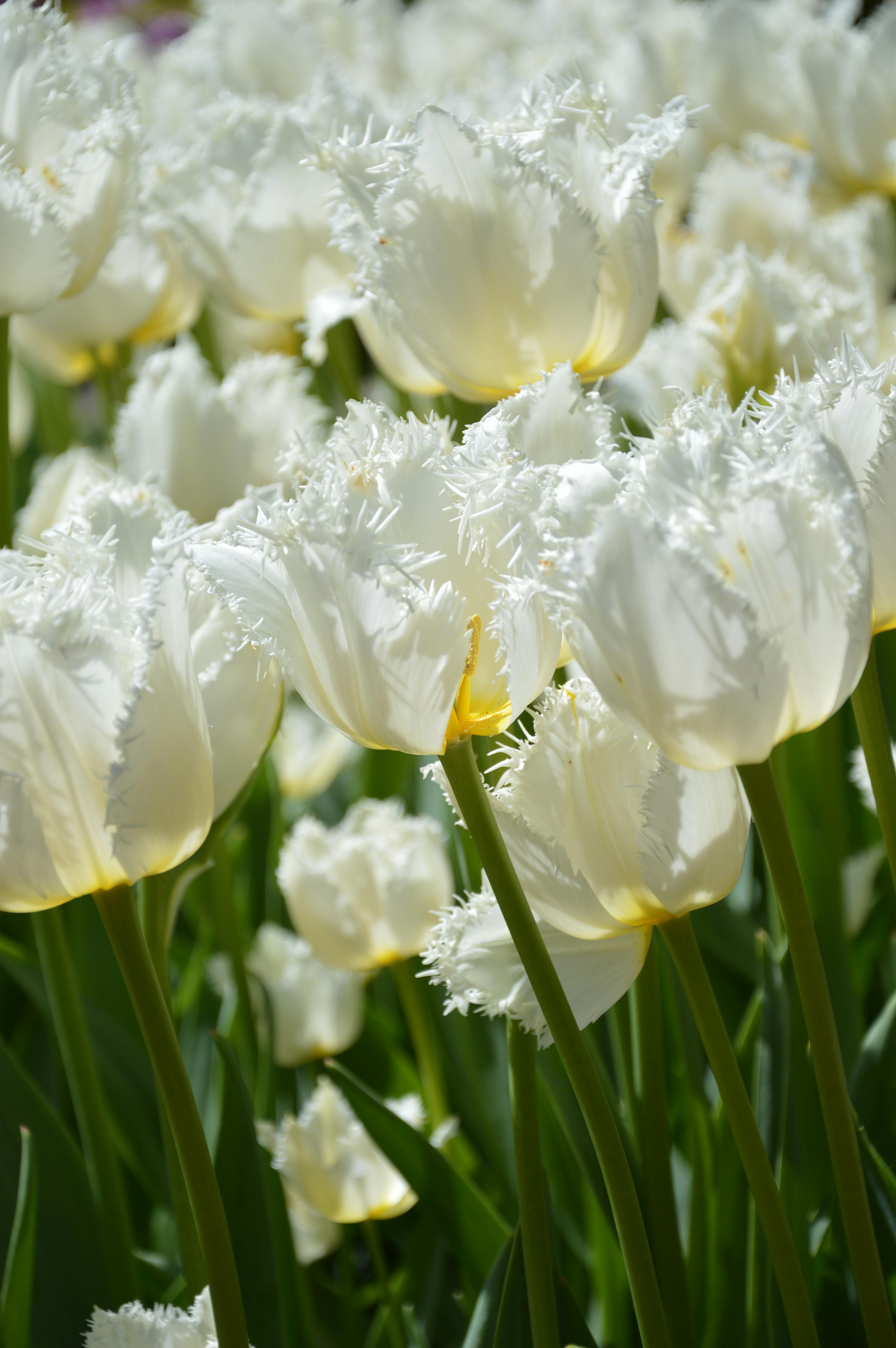 Julia Mayer - Photographie