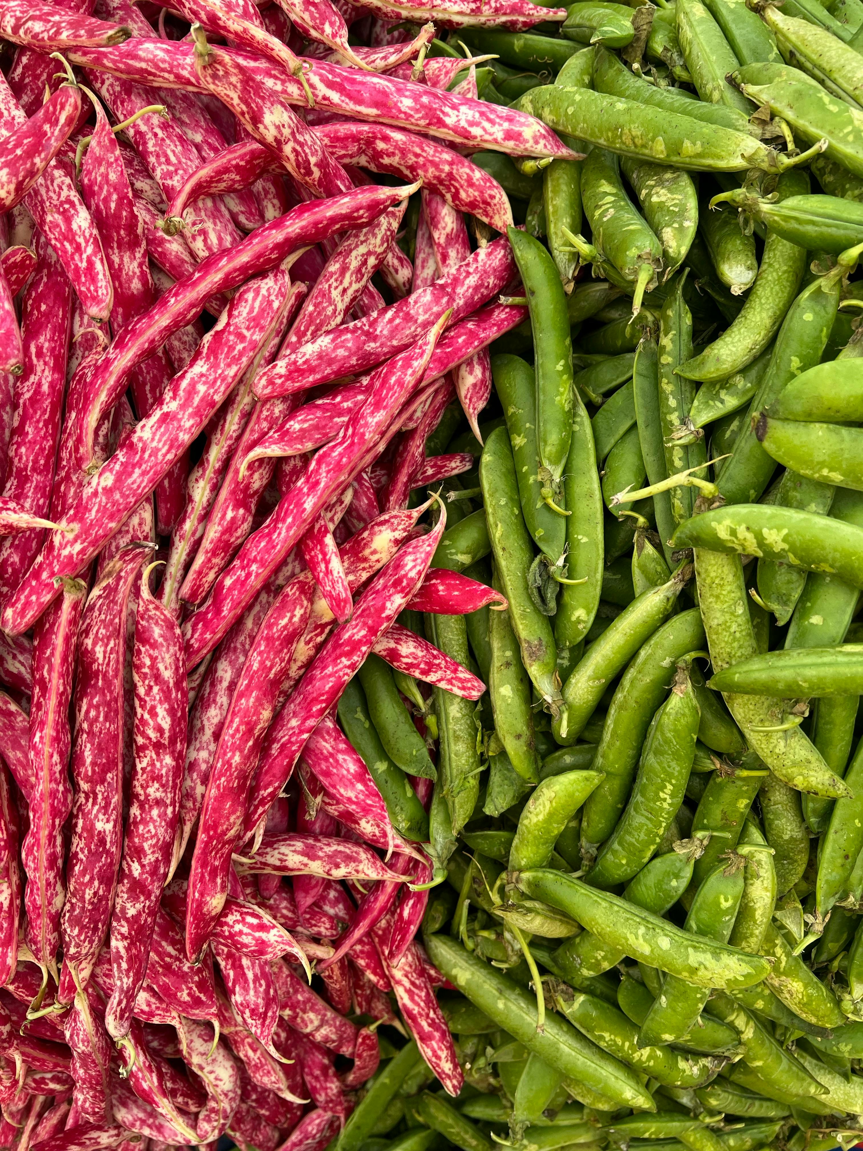 Green and Red String Beans · Free Stock Photo