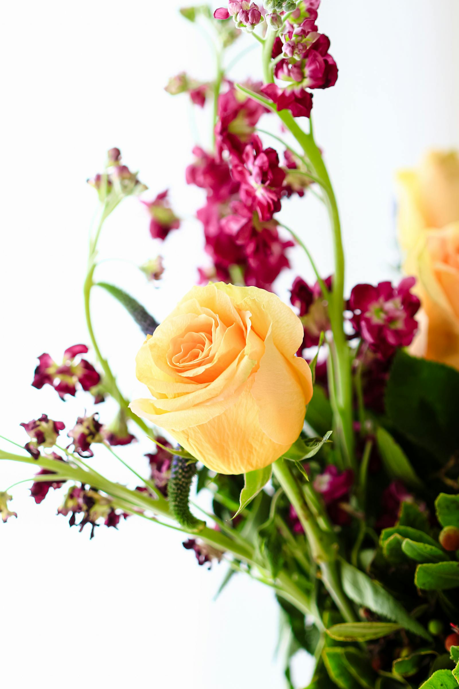 Roses Bouquet Photos, Download The BEST Free Roses Bouquet Stock Photos ...