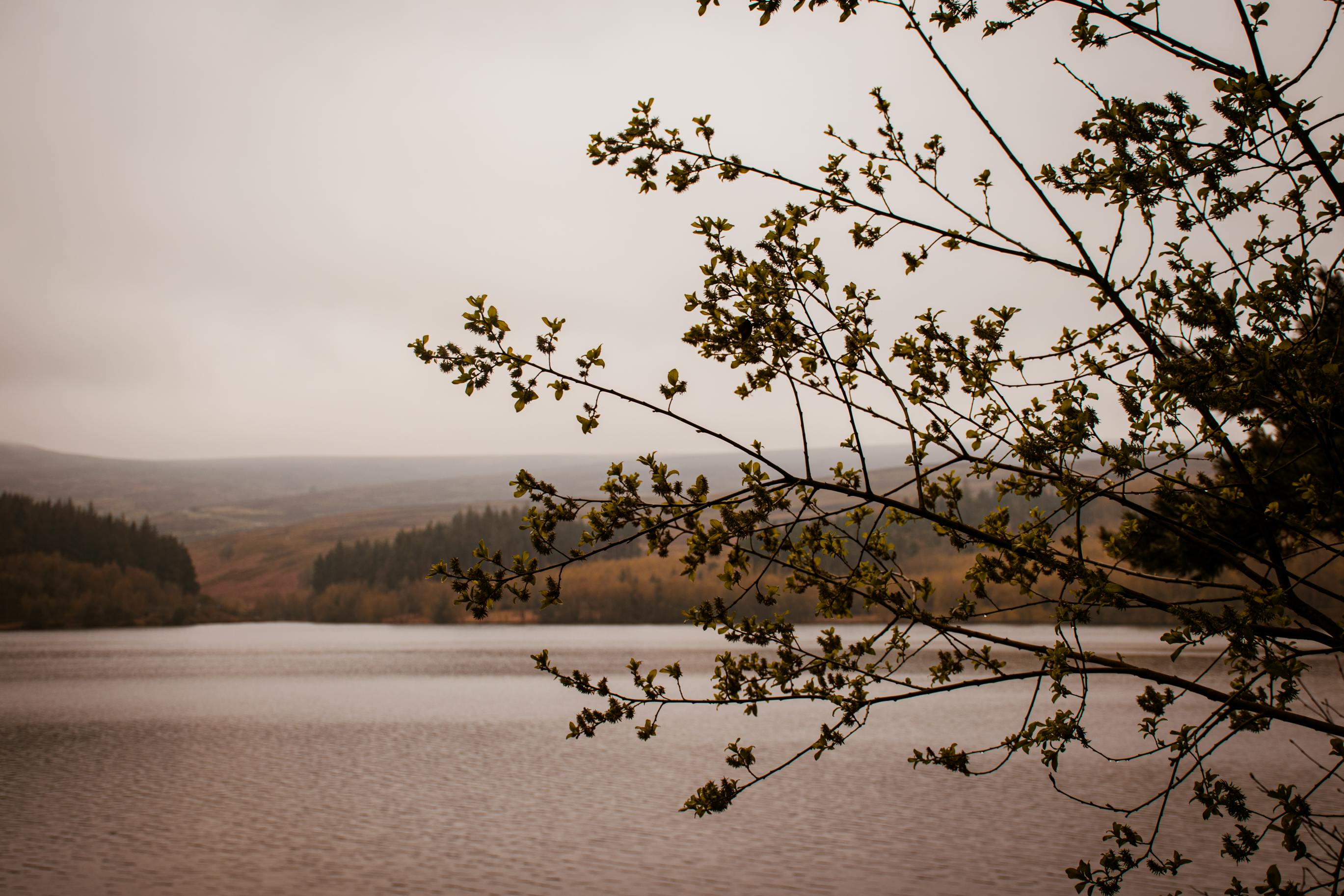 Dull Evening Photos, Download The BEST Free Dull Evening Stock Photos ...