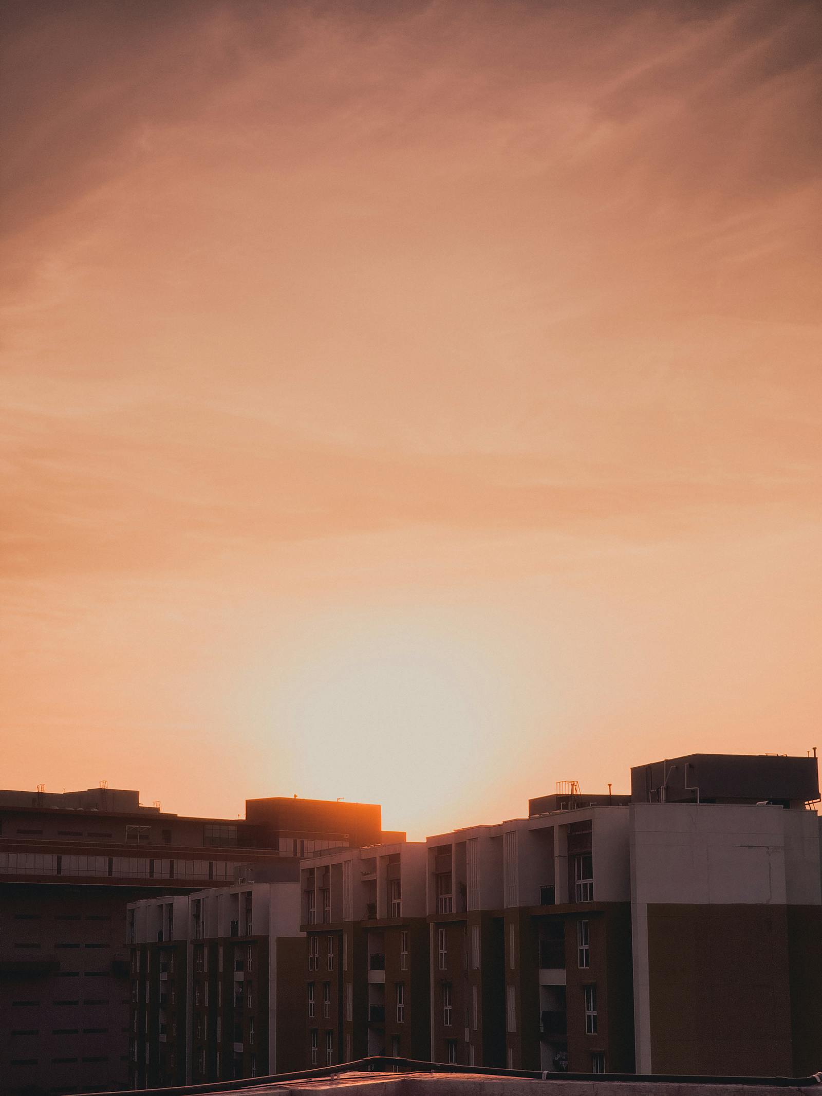 Setting Photos, Download The BEST Free Setting Stock Photos & HD Images