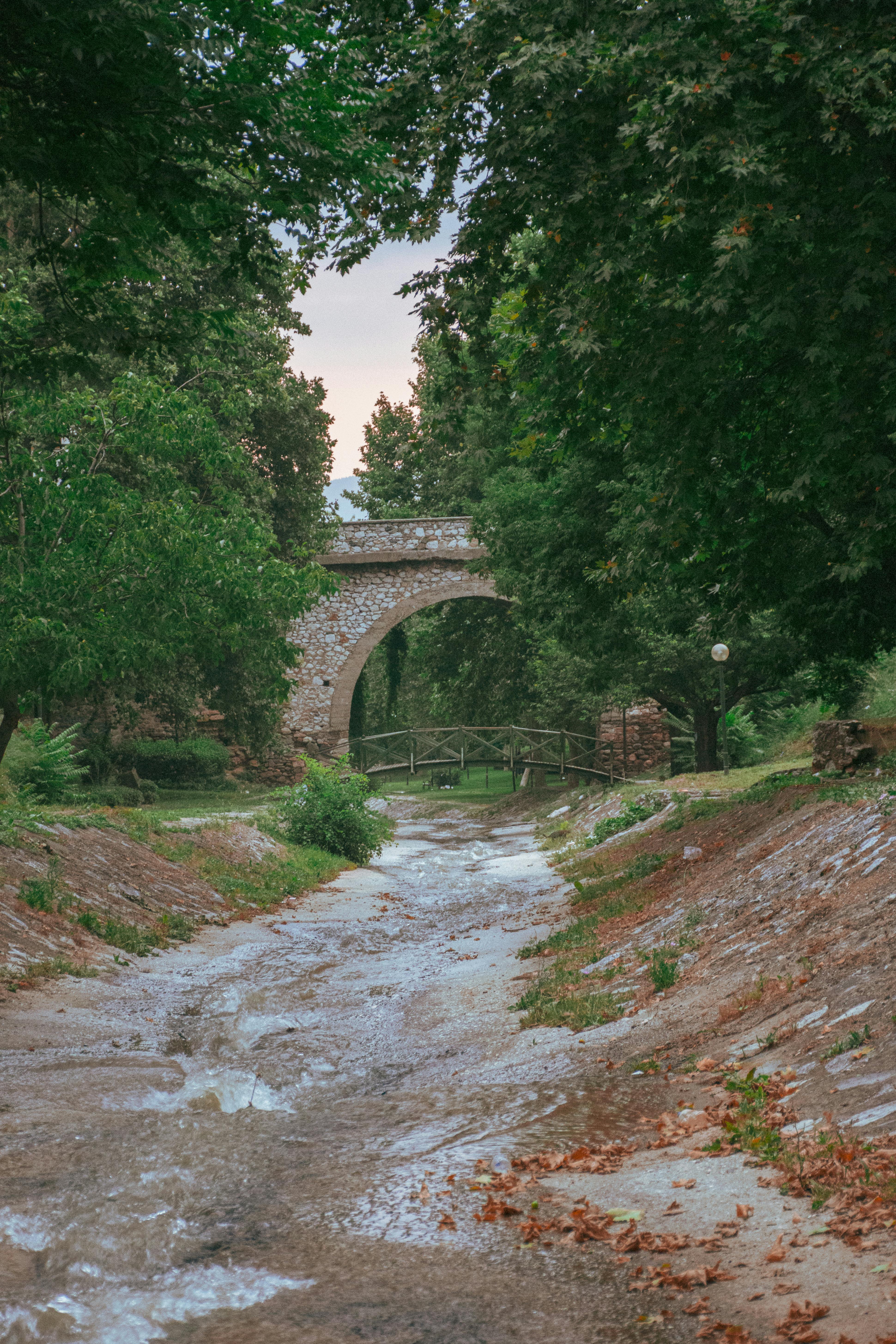 Trees around Stream with Bridge behind · Free Stock Photo