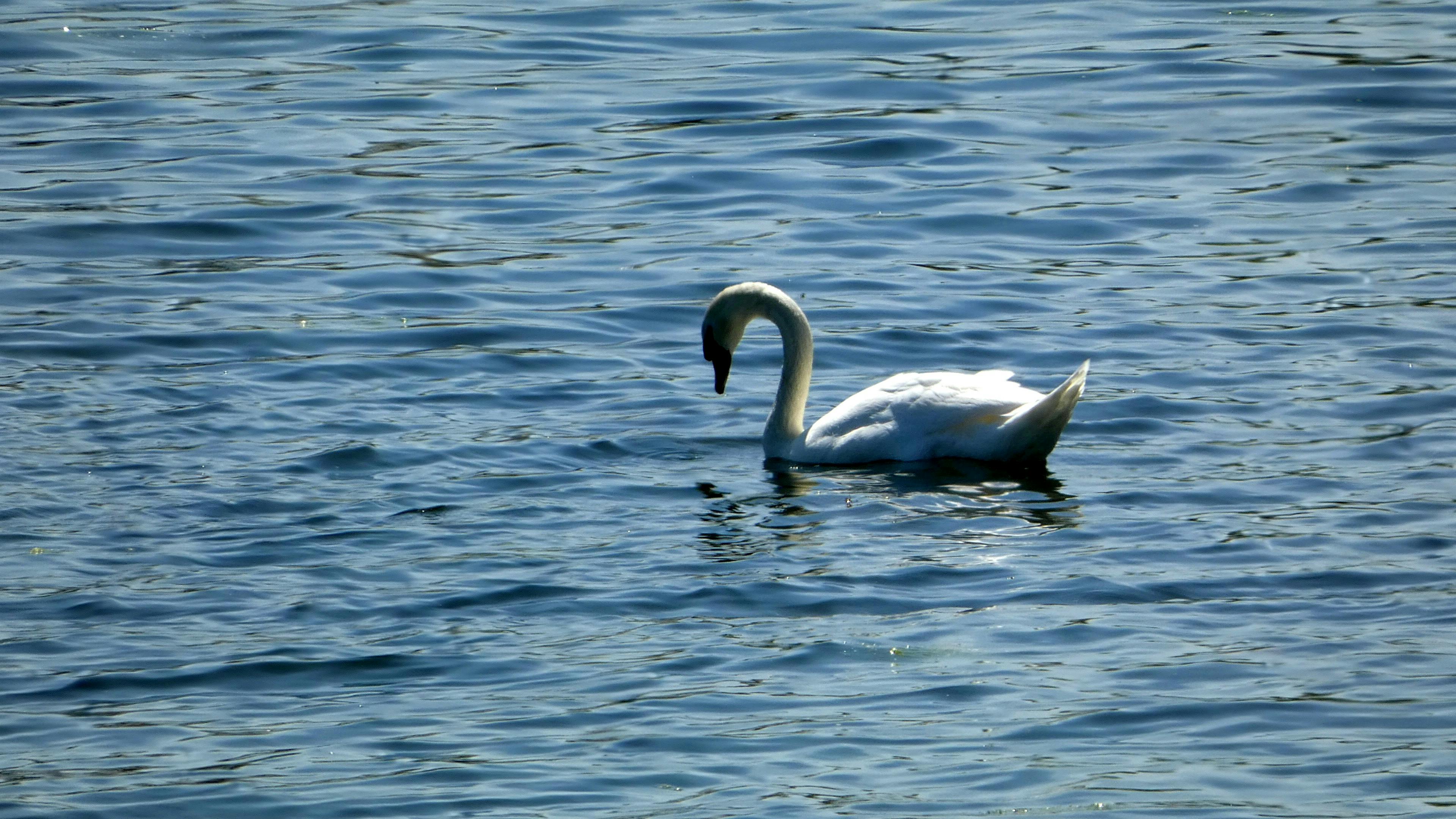 Jem Photography - 사진