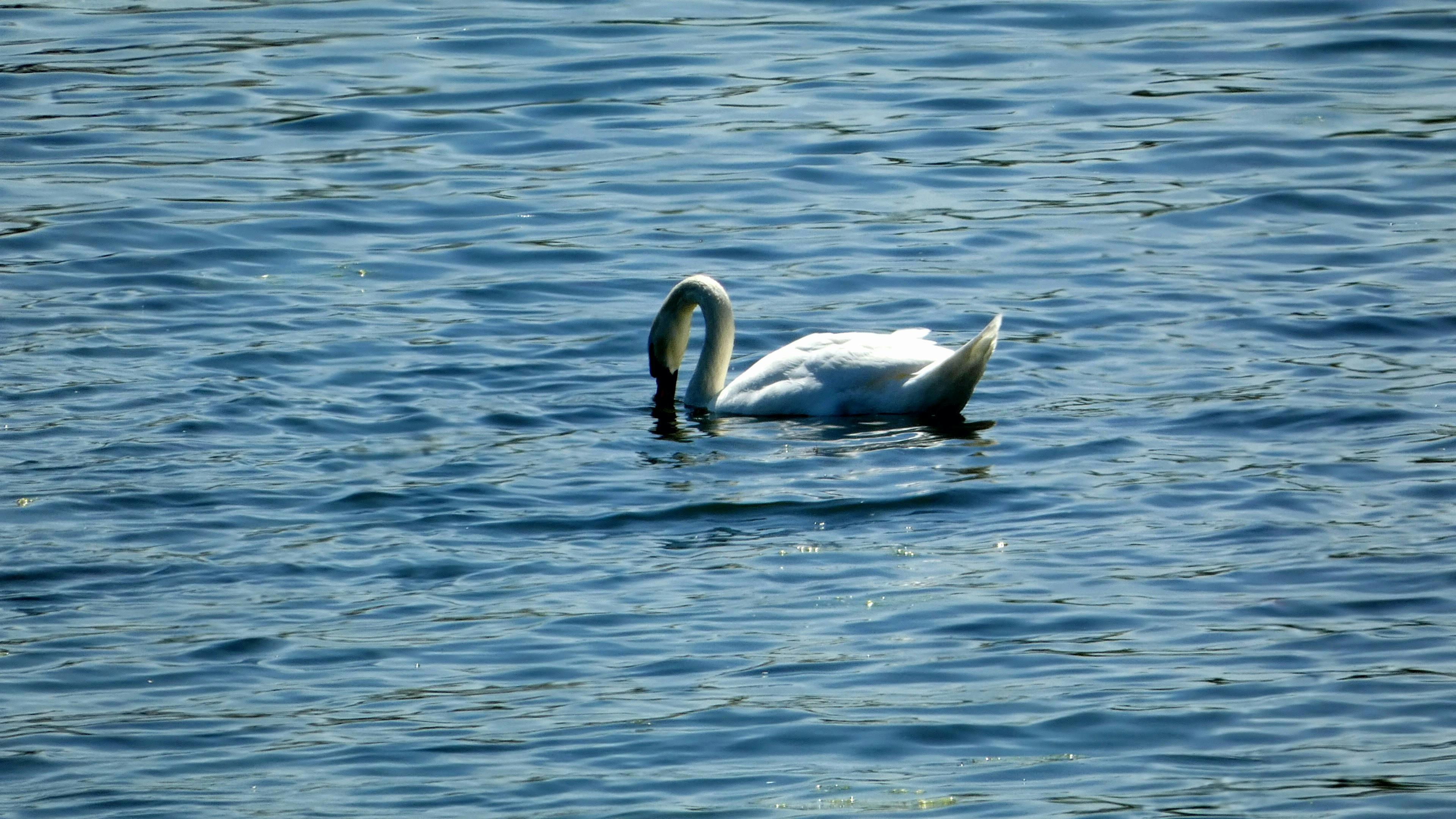 Jem Photography - 사진