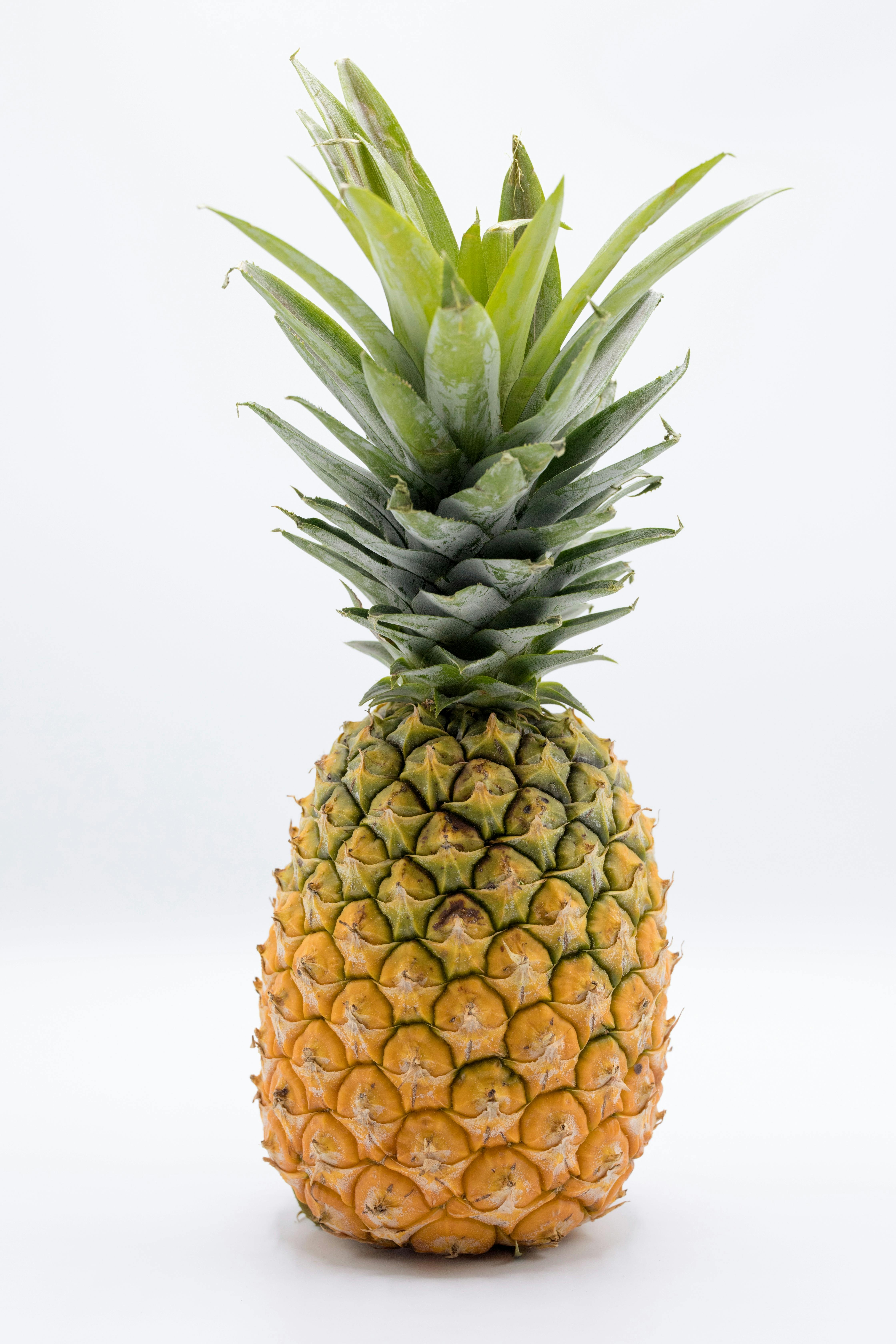 Foto de stock gratuita sobre aislar, amarillo, ananas comosus, botánica ...