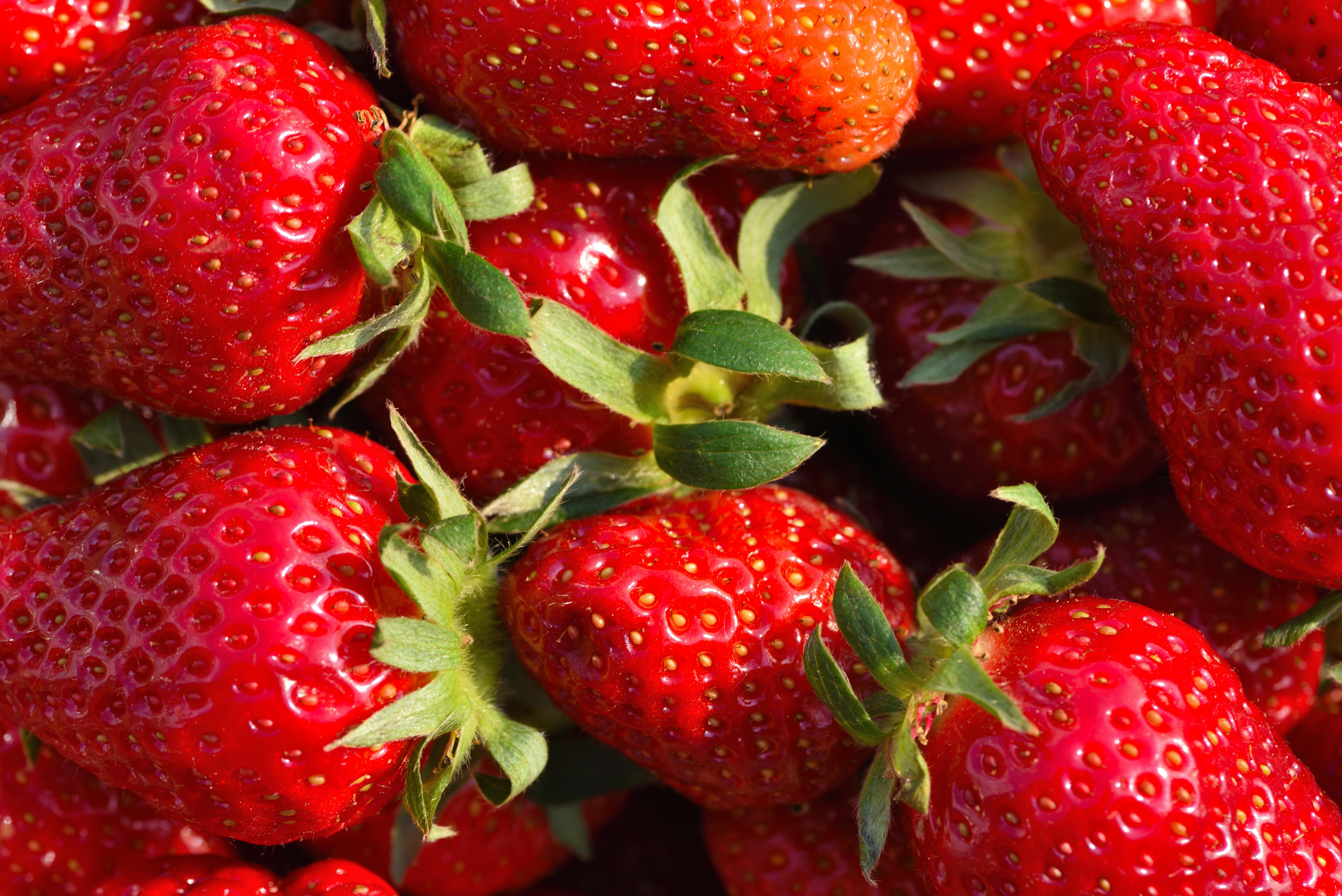 Fresh Fruits Photos, Download The BEST Free Fresh Fruits Stock Photos ...