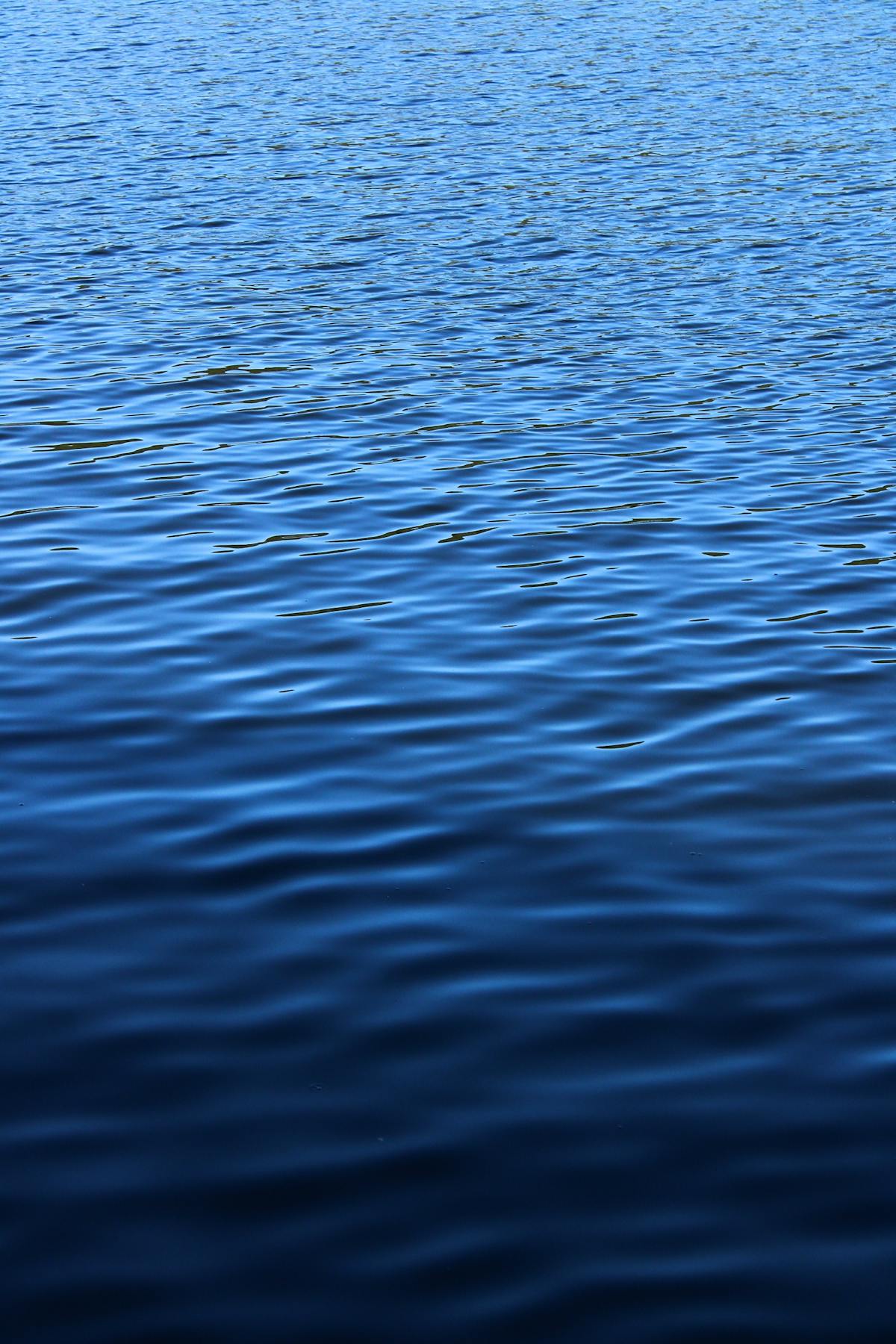 Sea Depths Photos, Download The BEST Free Sea Depths Stock Photos & HD ...