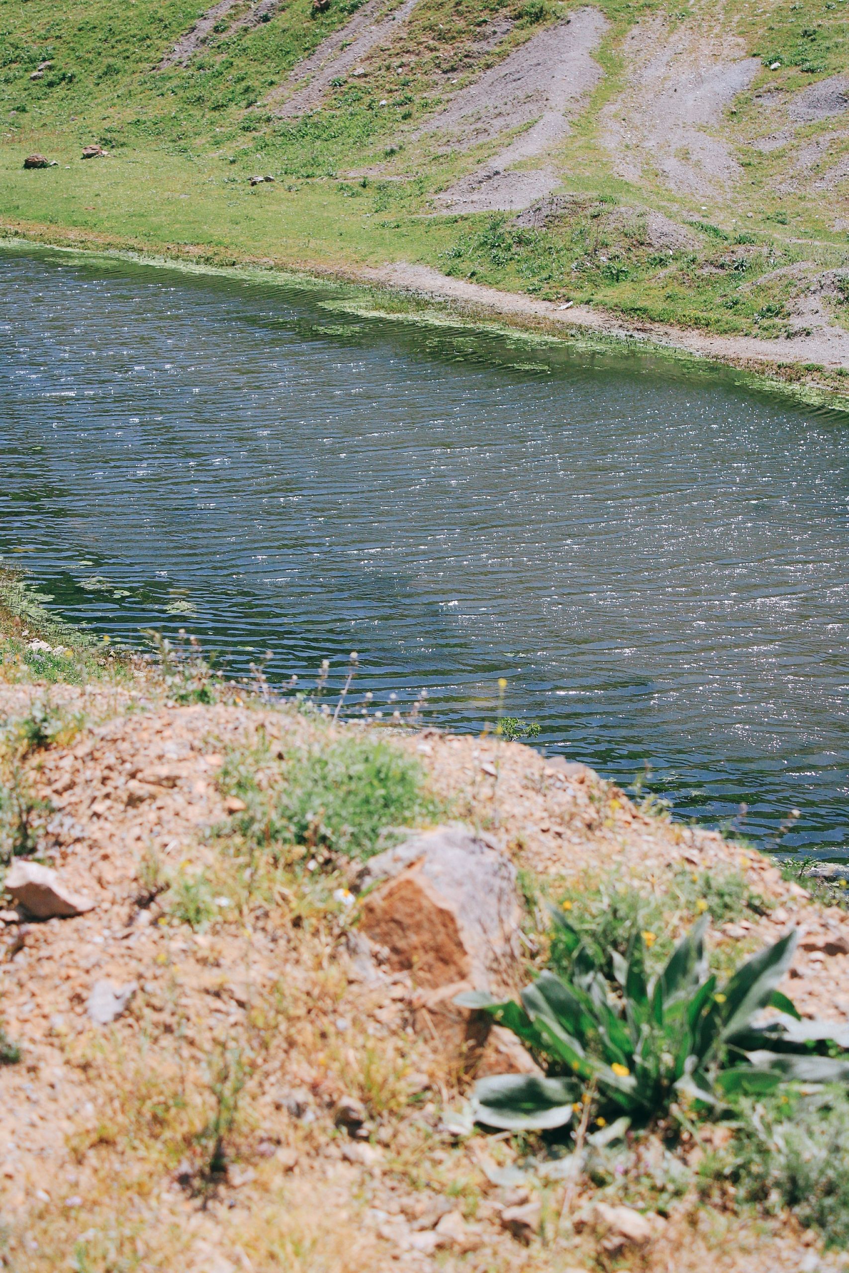 Concrete Stairs Leading to River · Free Stock Photo