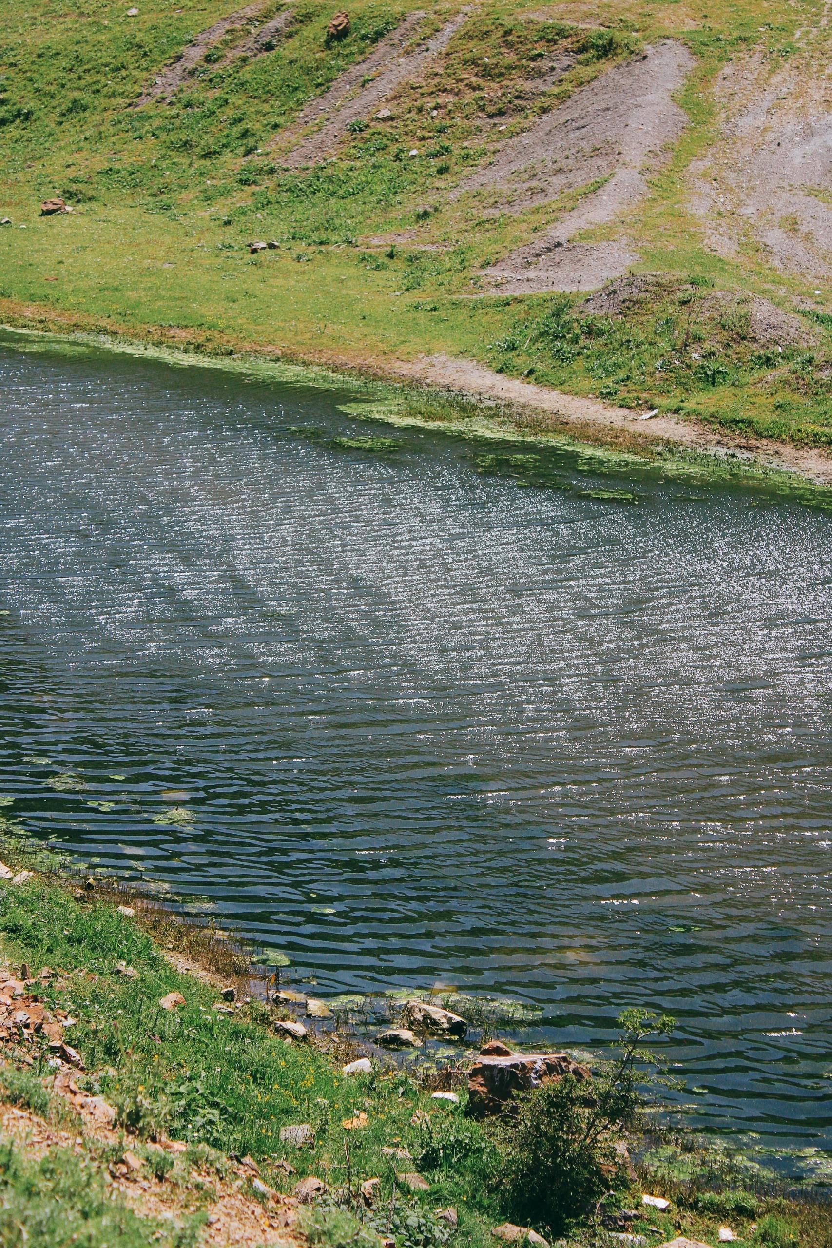 Top View of a Blue River · Free Stock Photo