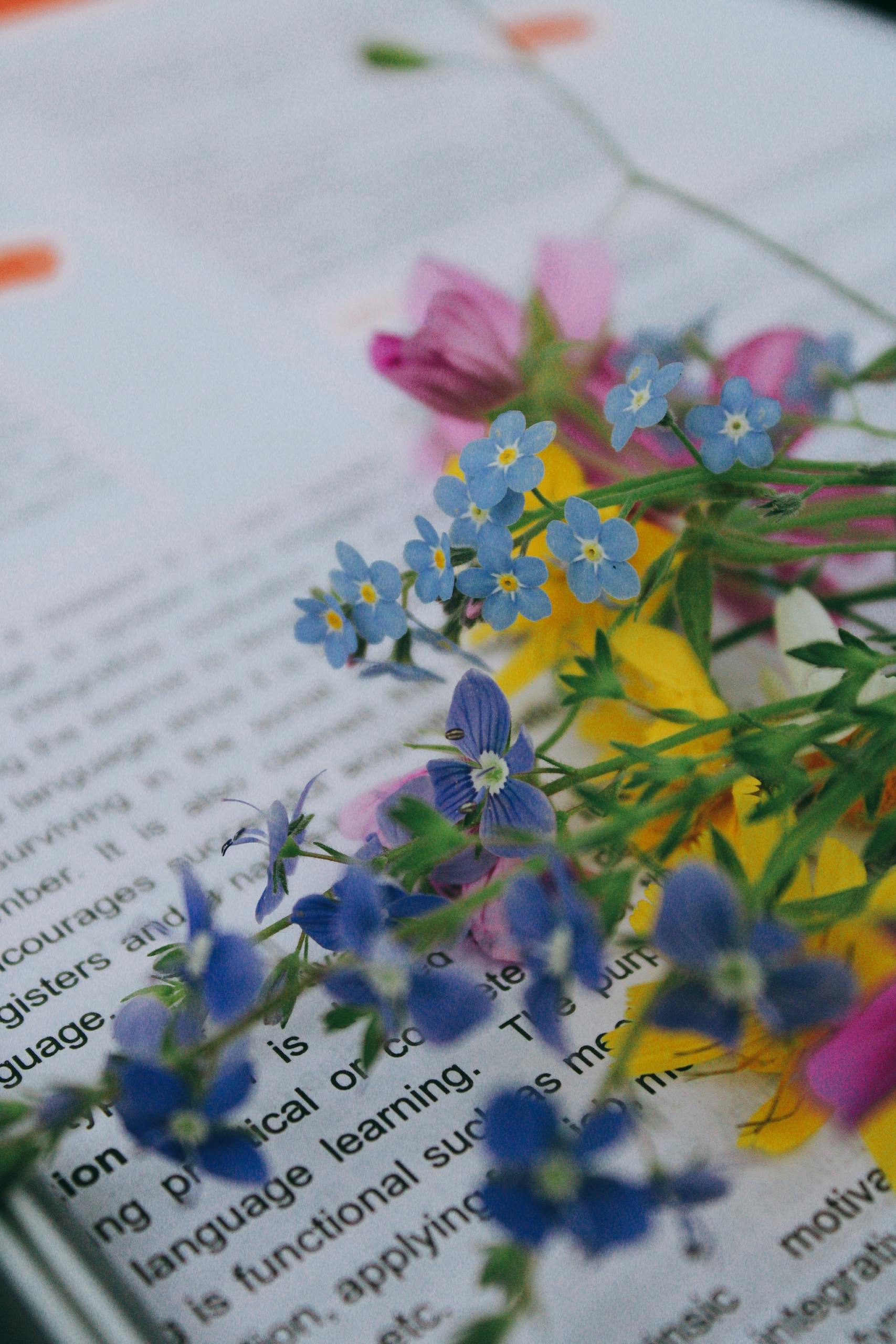 Flowers on Book · Free Stock Photo