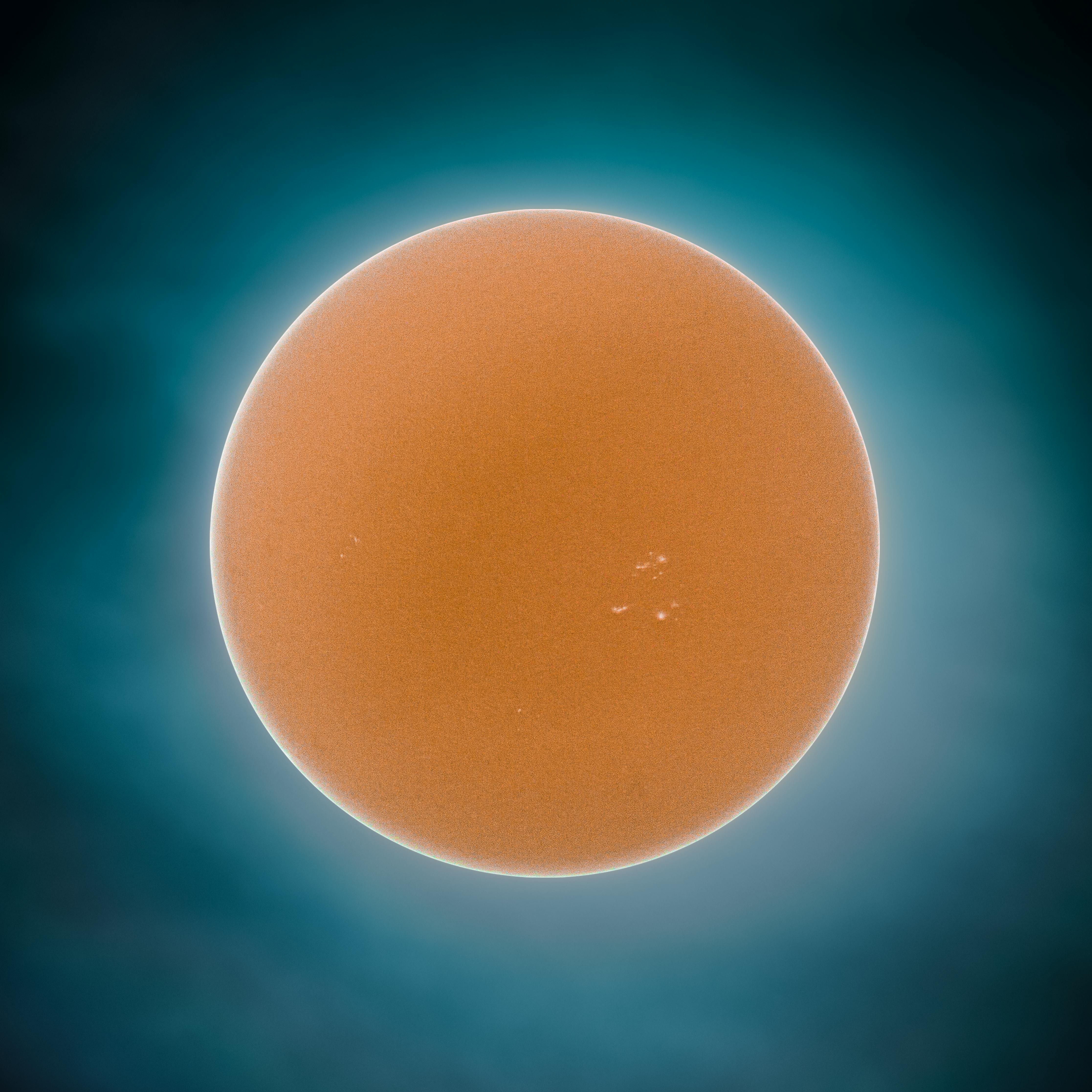 Round Bacteria in Microscopic View · Free Stock Photo