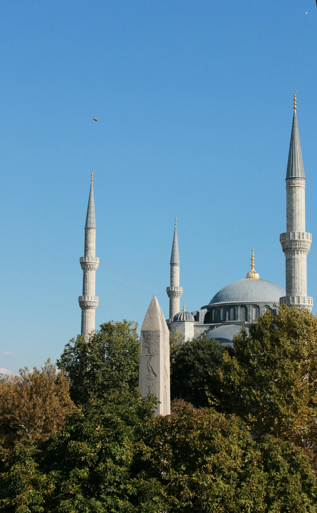 Japan Mosque Photos, Download The BEST Free Japan Mosque Stock Photos ...