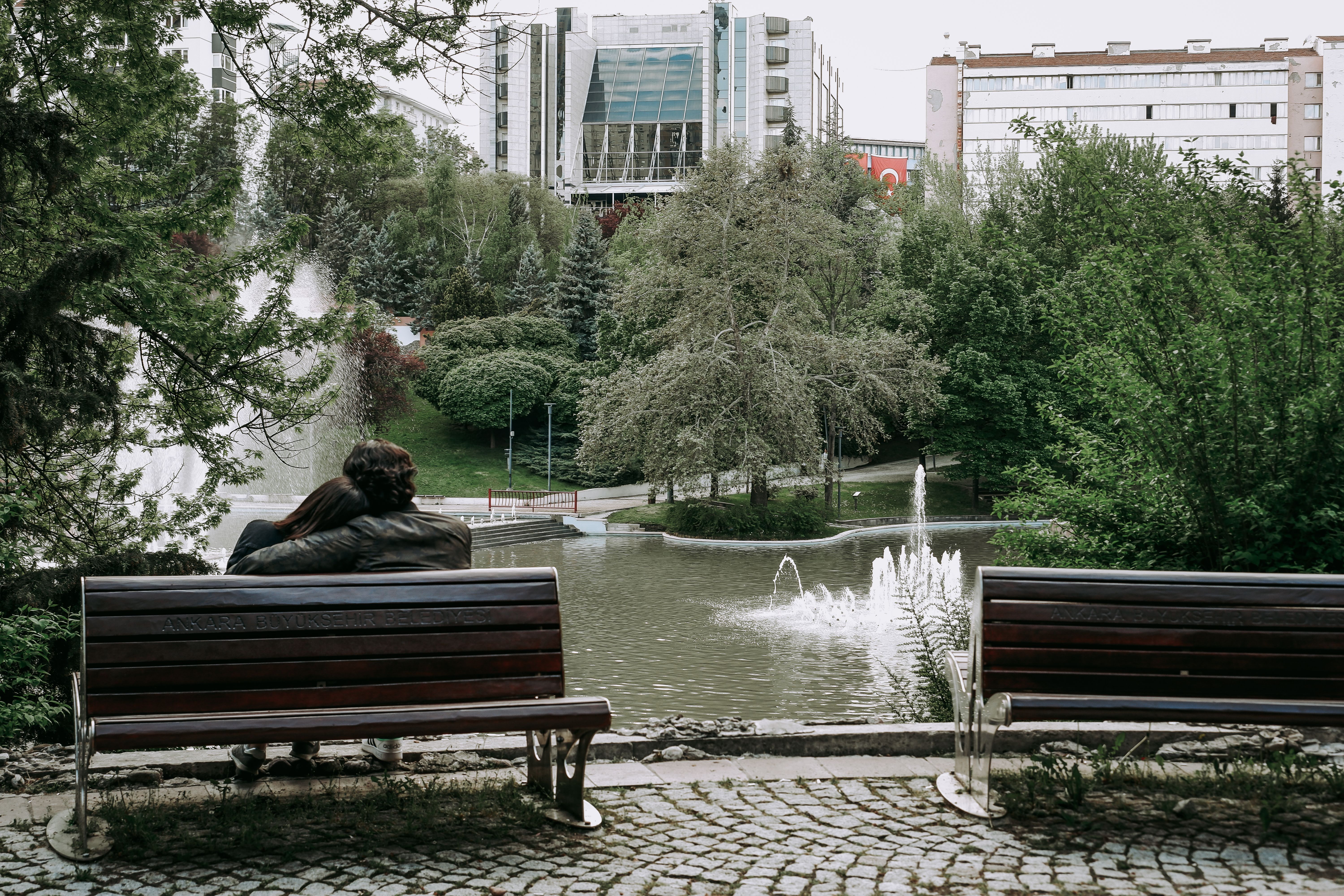 Wooden Benches by Pond in Park · Free Stock Photo