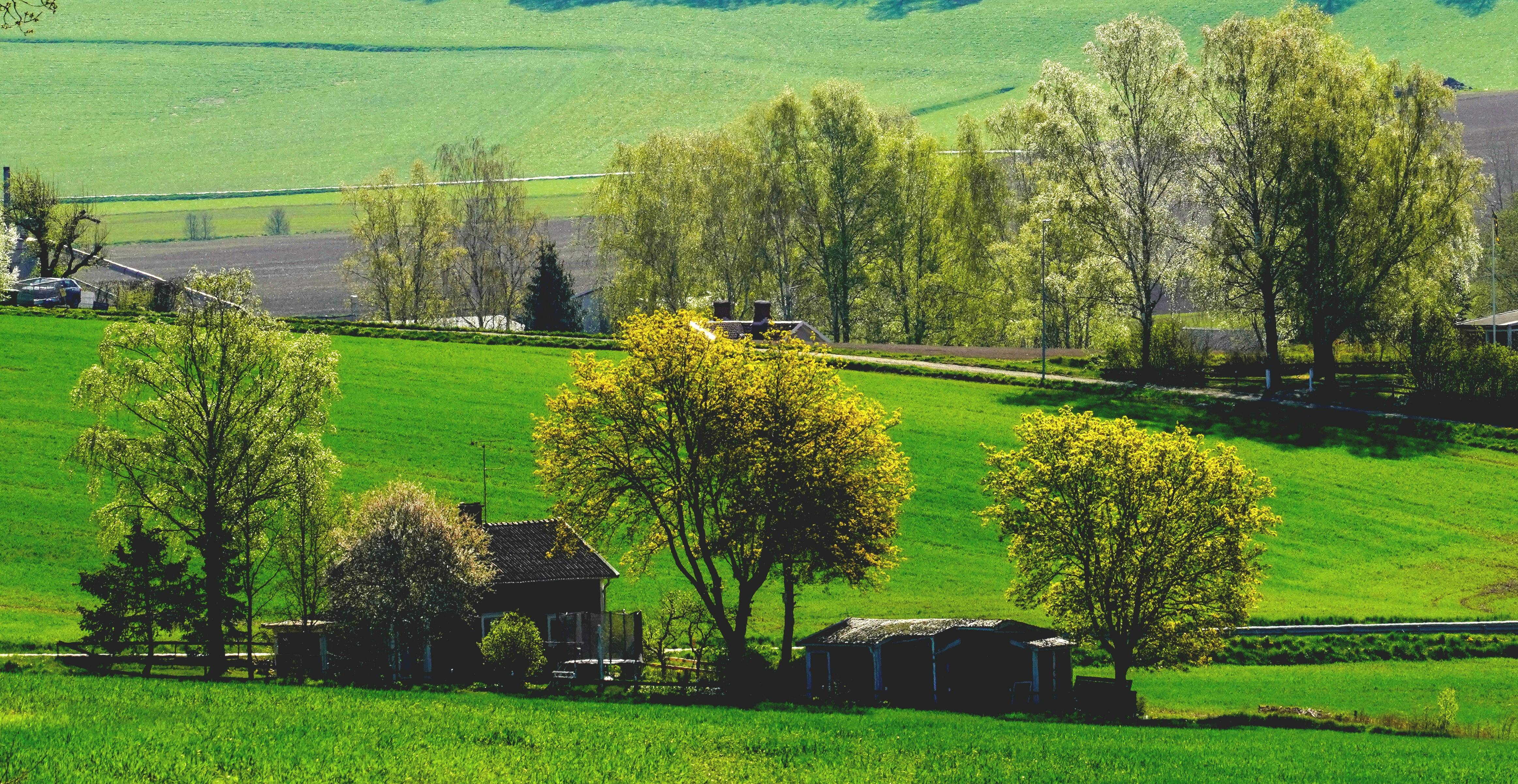 Houses and Green Fields in the Countryside · Free Stock Photo